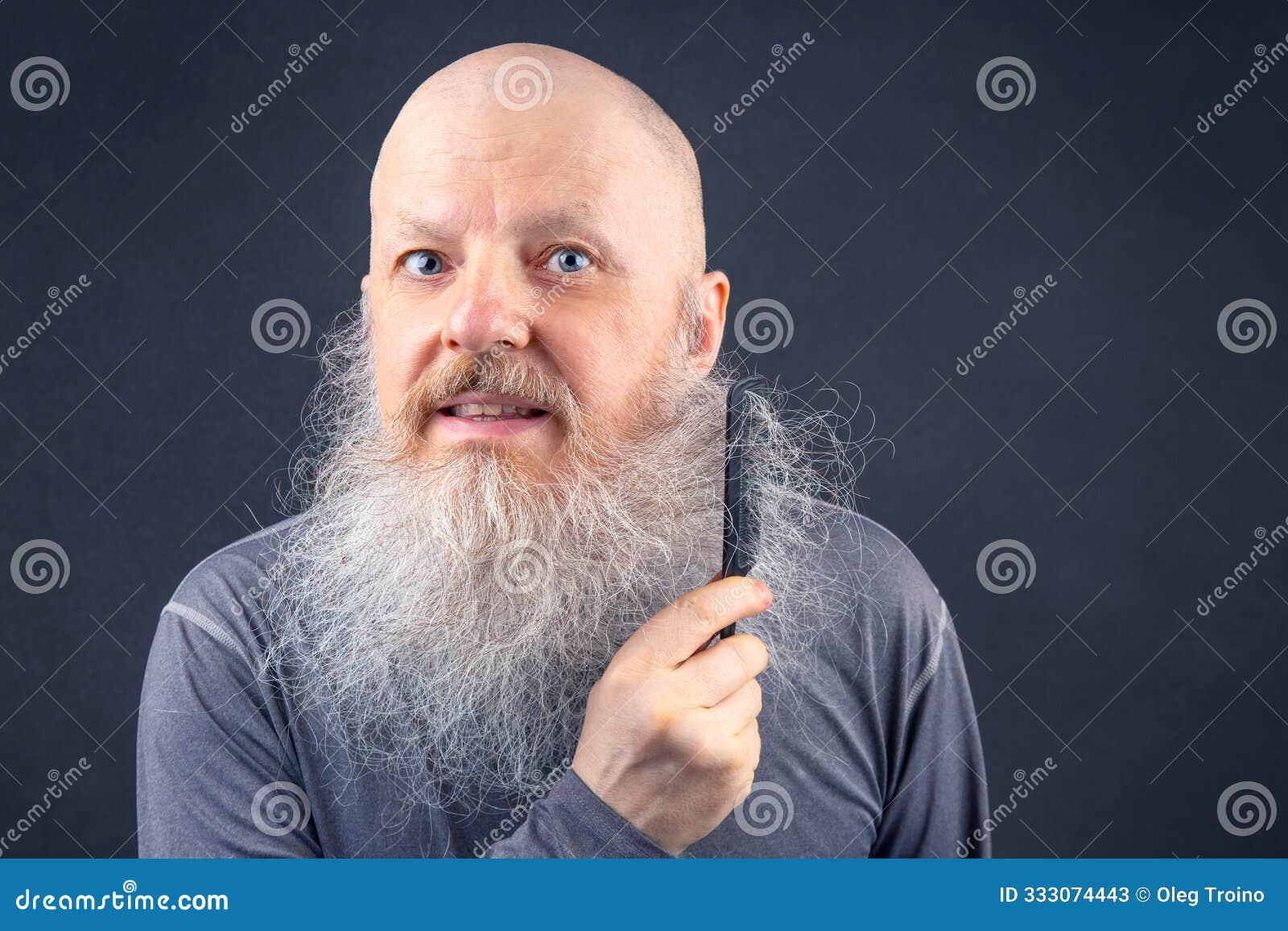 Portrait of a Bald Man Combing His Large Gray Beard on a Gray ...