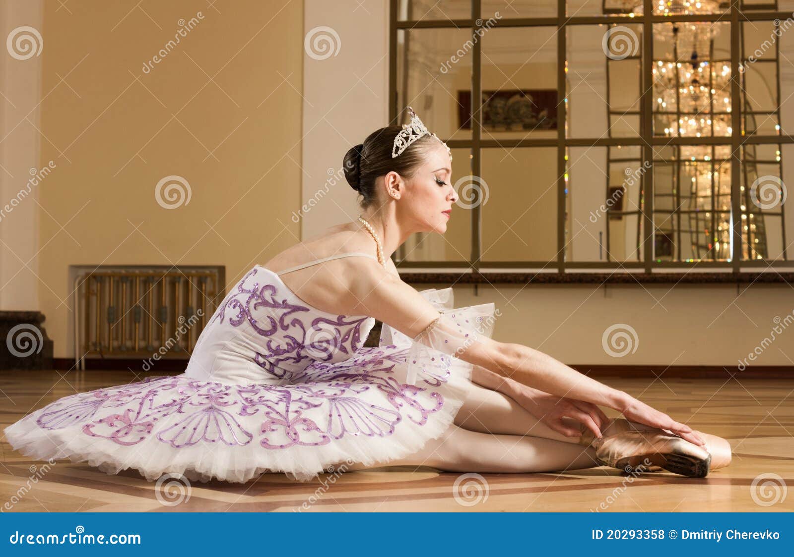 Portrait of the ballerina stock photo. Image of ballet - 20293358