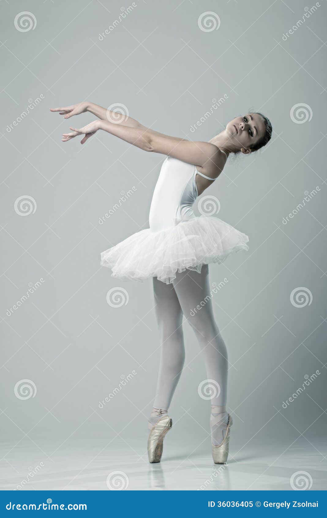 Portrait of the Ballerina in Ballet Pose Stock Image - Image of ...