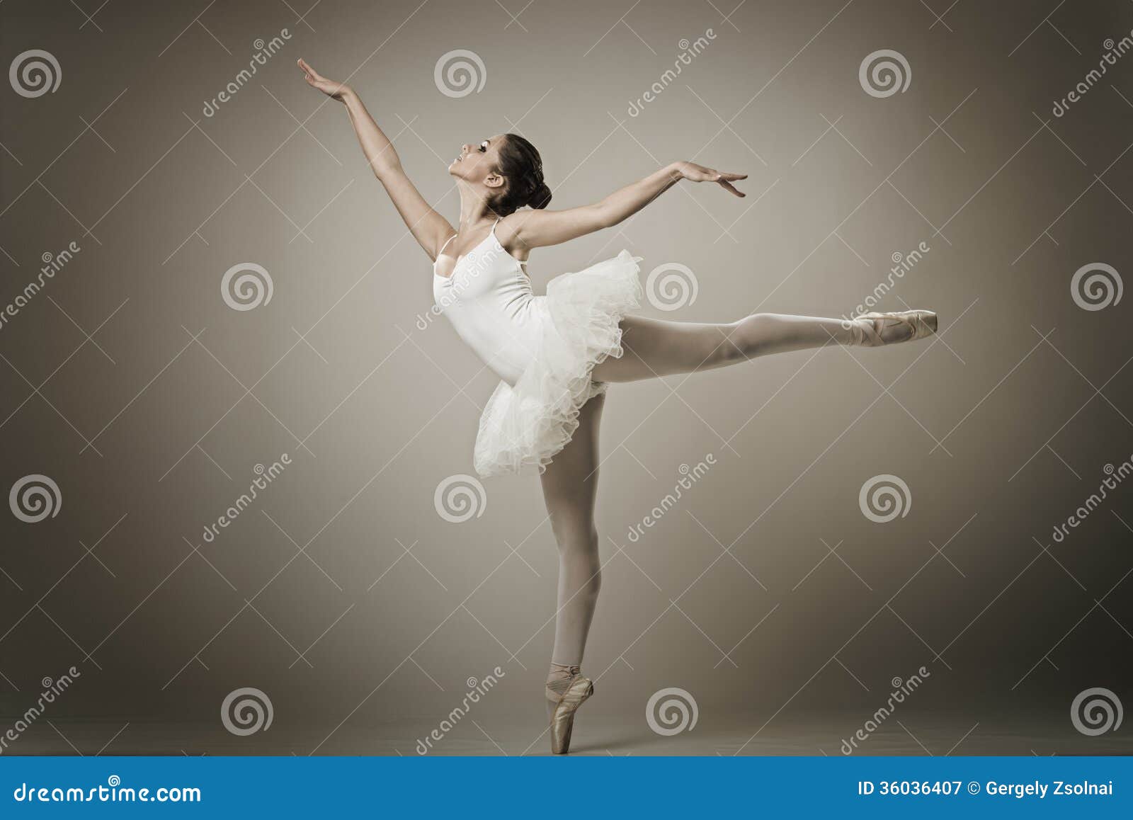 Portrait of the Ballerina in Ballet Pose Stock Image - Image of balance ...