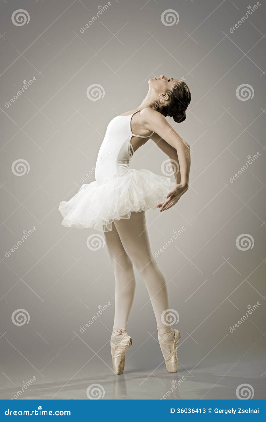 Portrait of the Ballerina in Ballet Pose Stock Image - Image of color ...