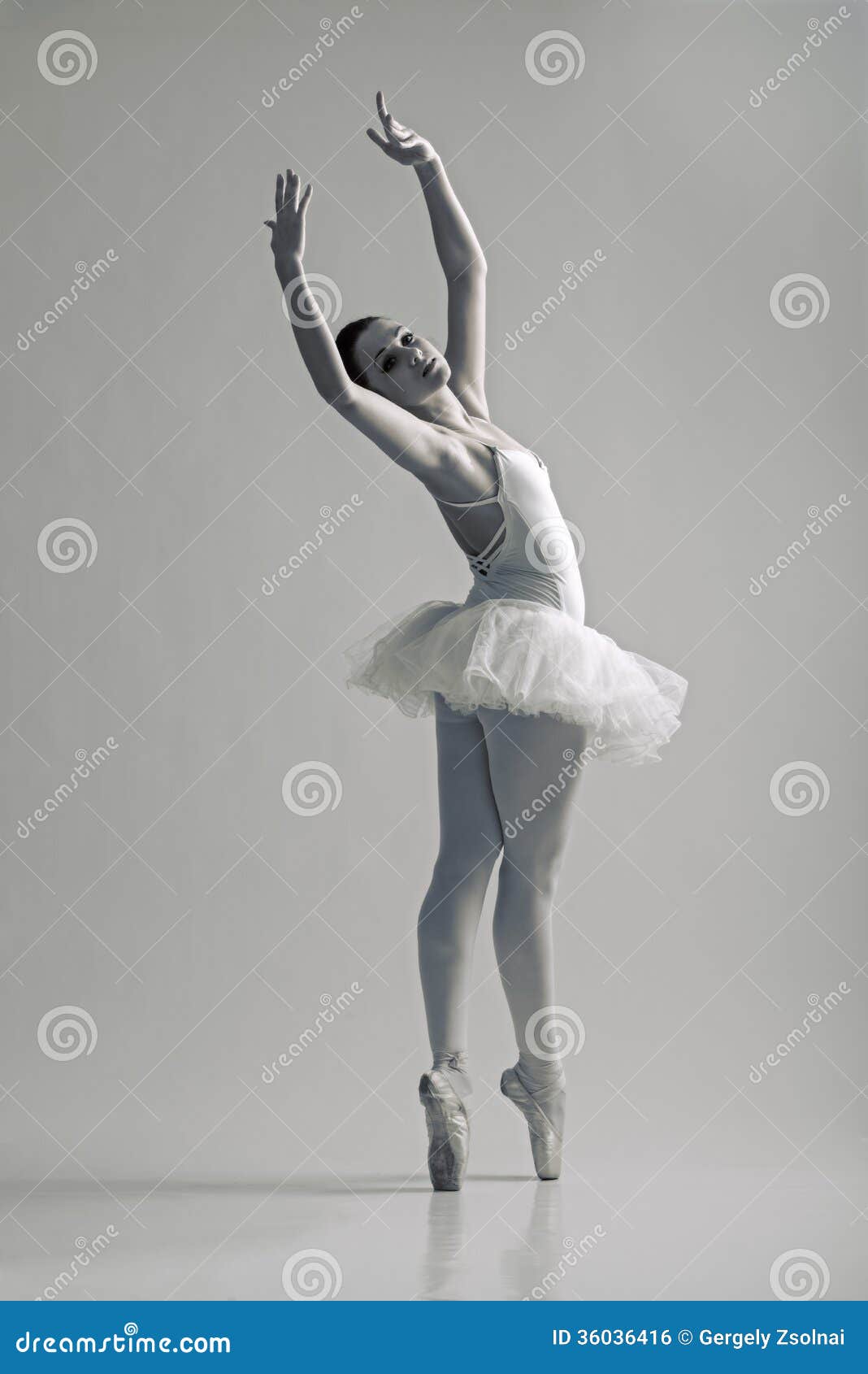 Portrait of the Ballerina in Ballet Pose Stock Photo - Image of ...