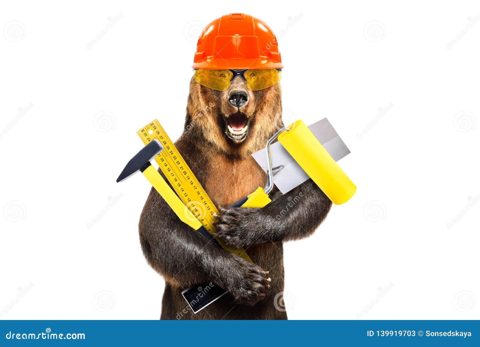 Portrait of a Bear in a Construction Helmet with Tools in Hand Stock ...