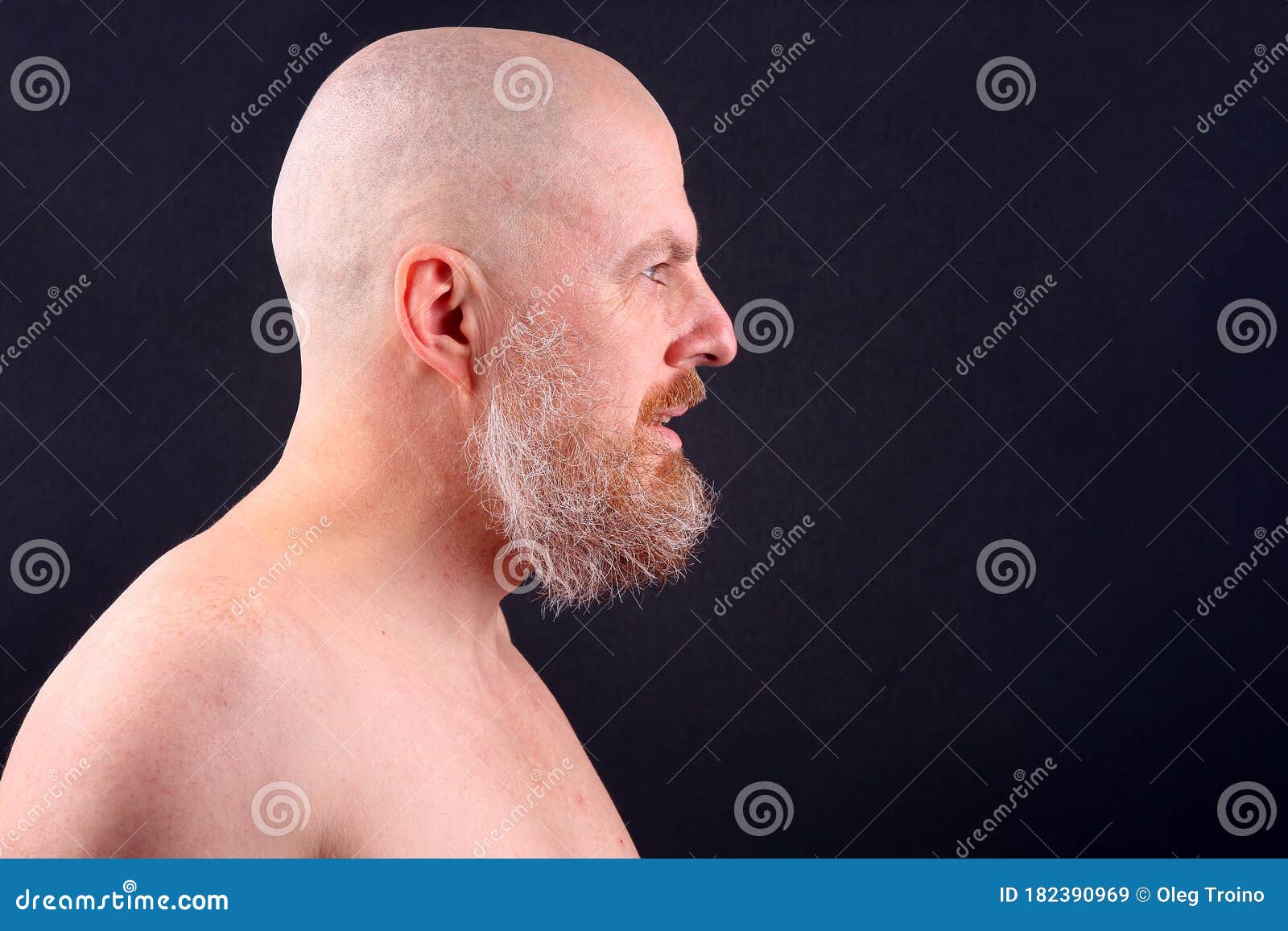 Portrait of a Bearded and Bald Man in Profile Stock Image - Image of ...