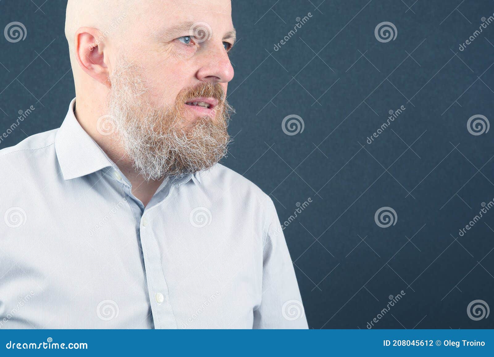 Portrait of a Bearded and Bald Man in Profile Stock Photo - Image of ...