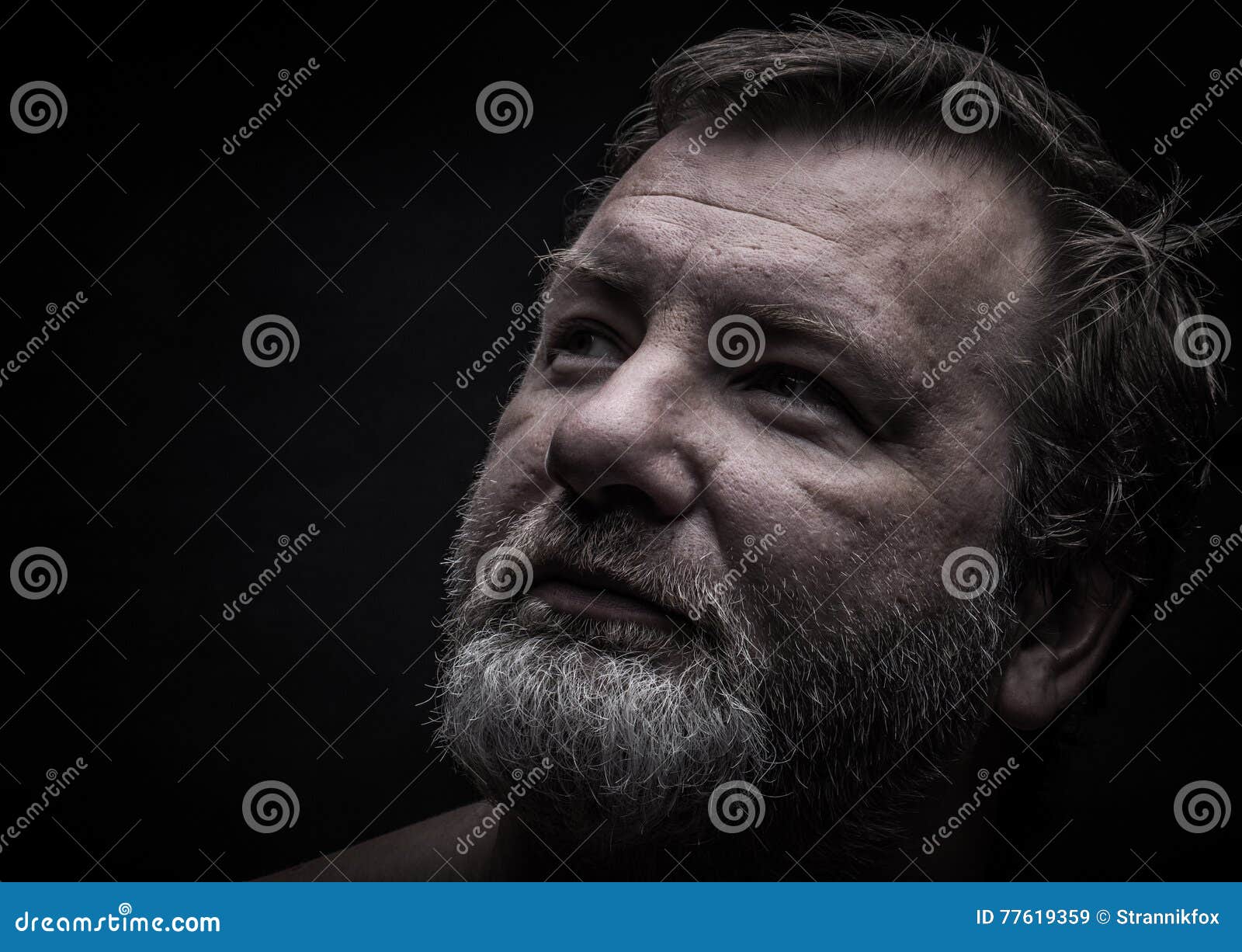 Portrait of a Bearded Man. Grimace Stock Image - Image of beard ...