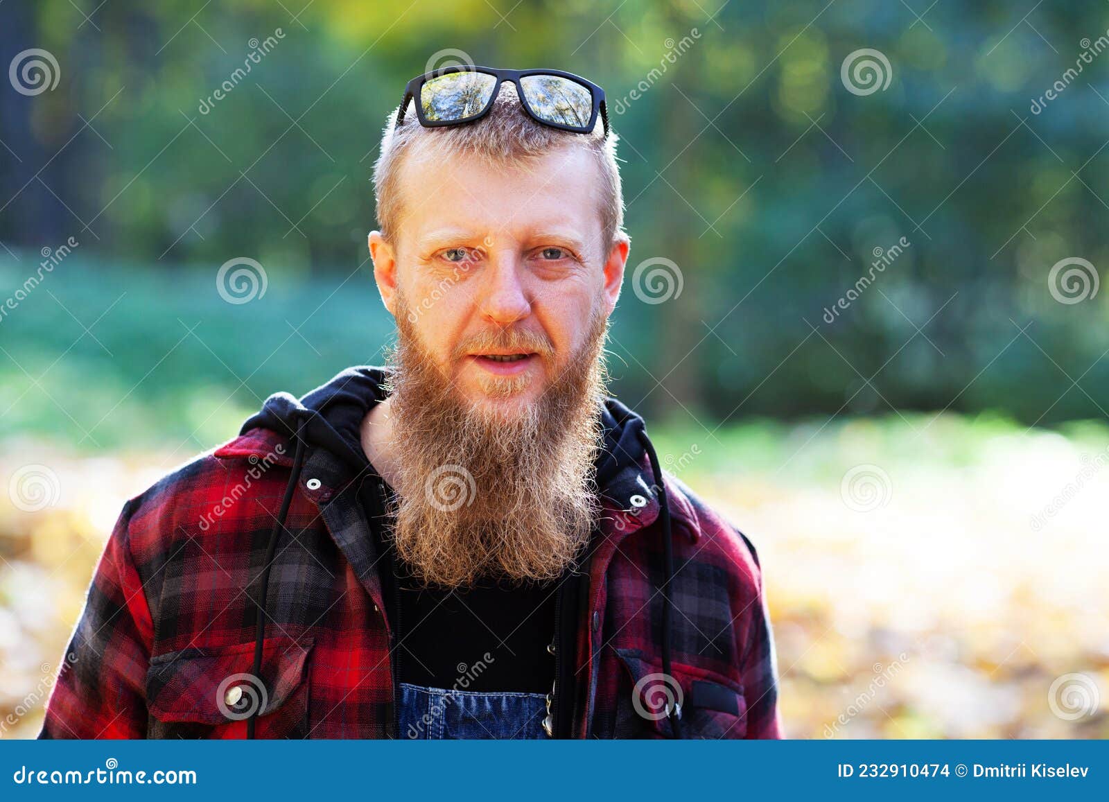 Portrait of a Bearded Young Man Stock Photo - Image of sunlight, autumn ...