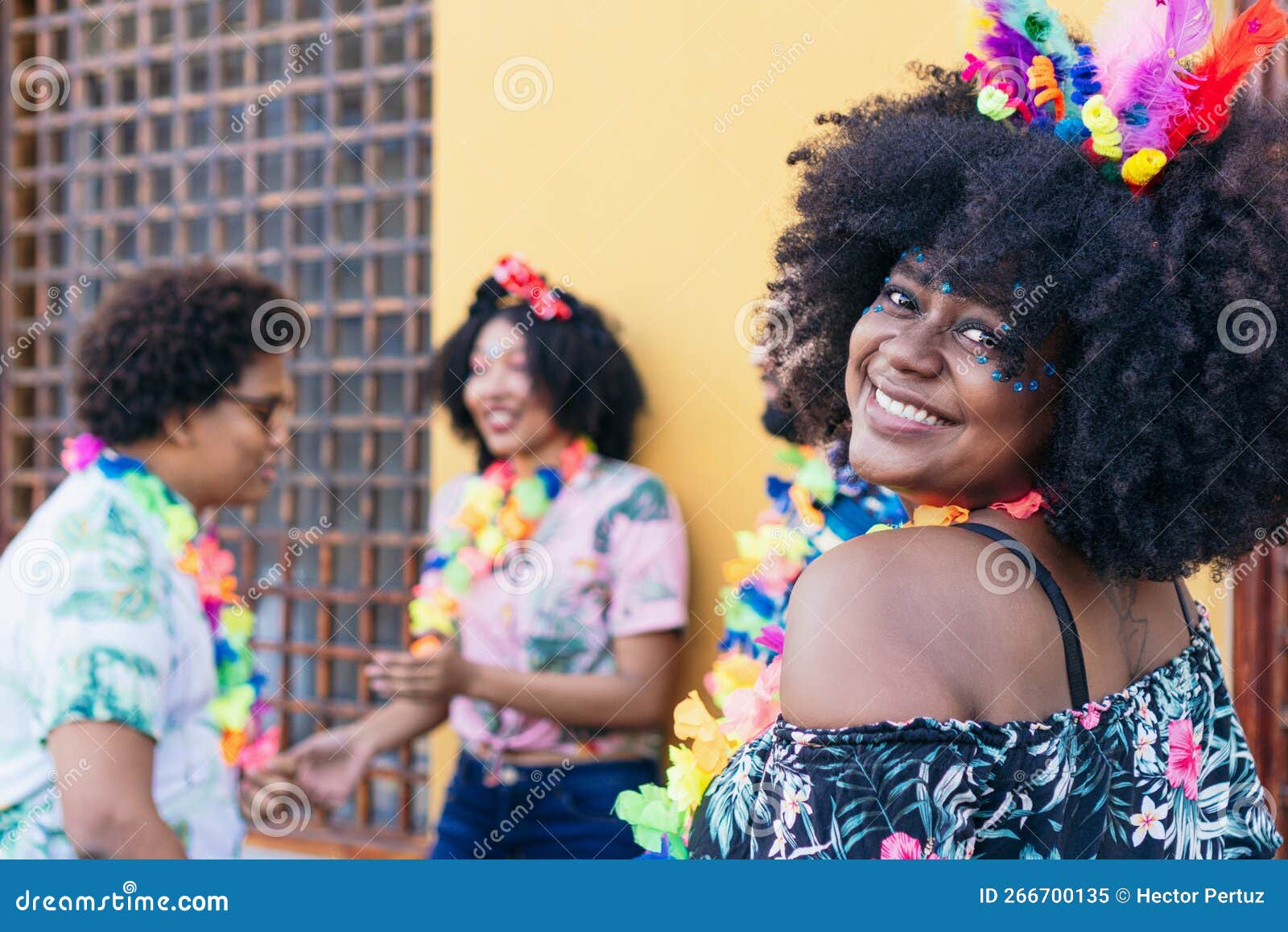 Portrait Of Beautiful Afro Woman At The Brazilian Carnival Stock Image Image Of Brazilian