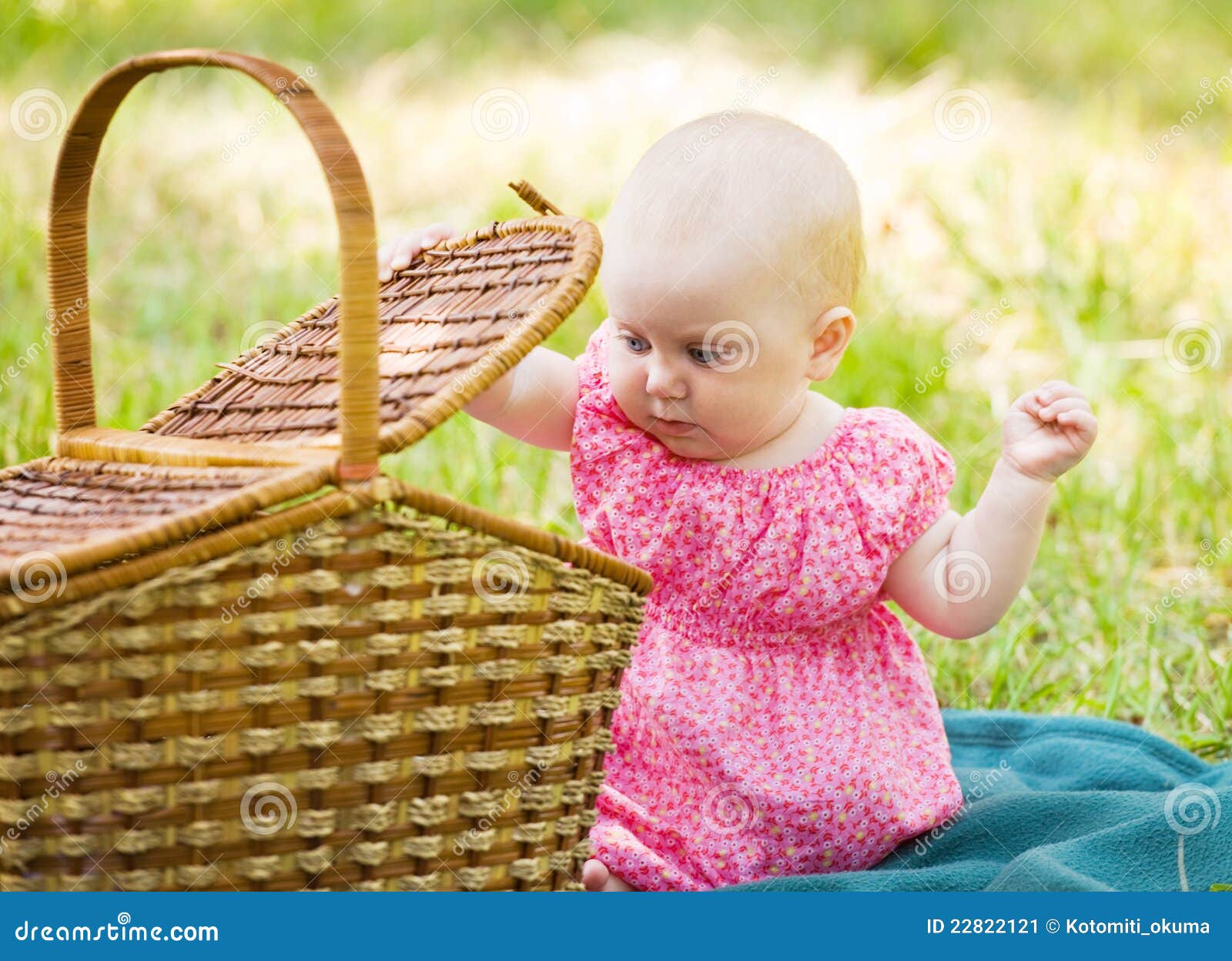 Portrait of Beautiful Baby on the Lawn Stock Image - Image of basket ...