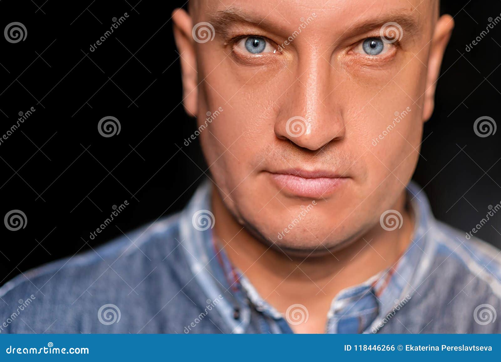 Portrait of a Beautiful Bald Man with Blue Eyes Stock Photo - Image of ...