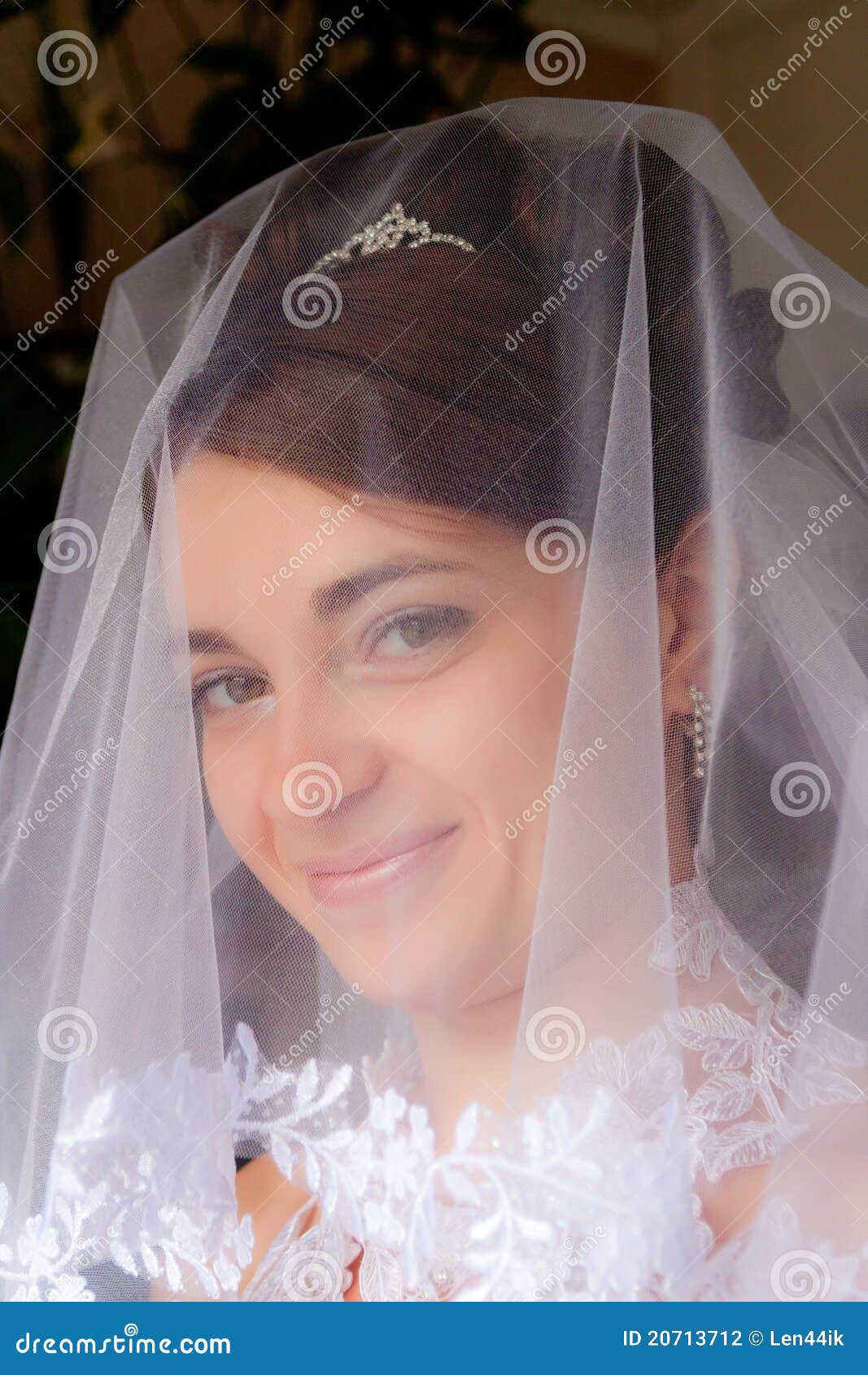 Portrait of the Beautiful Bride Stock Photo - Image of marriage, face ...