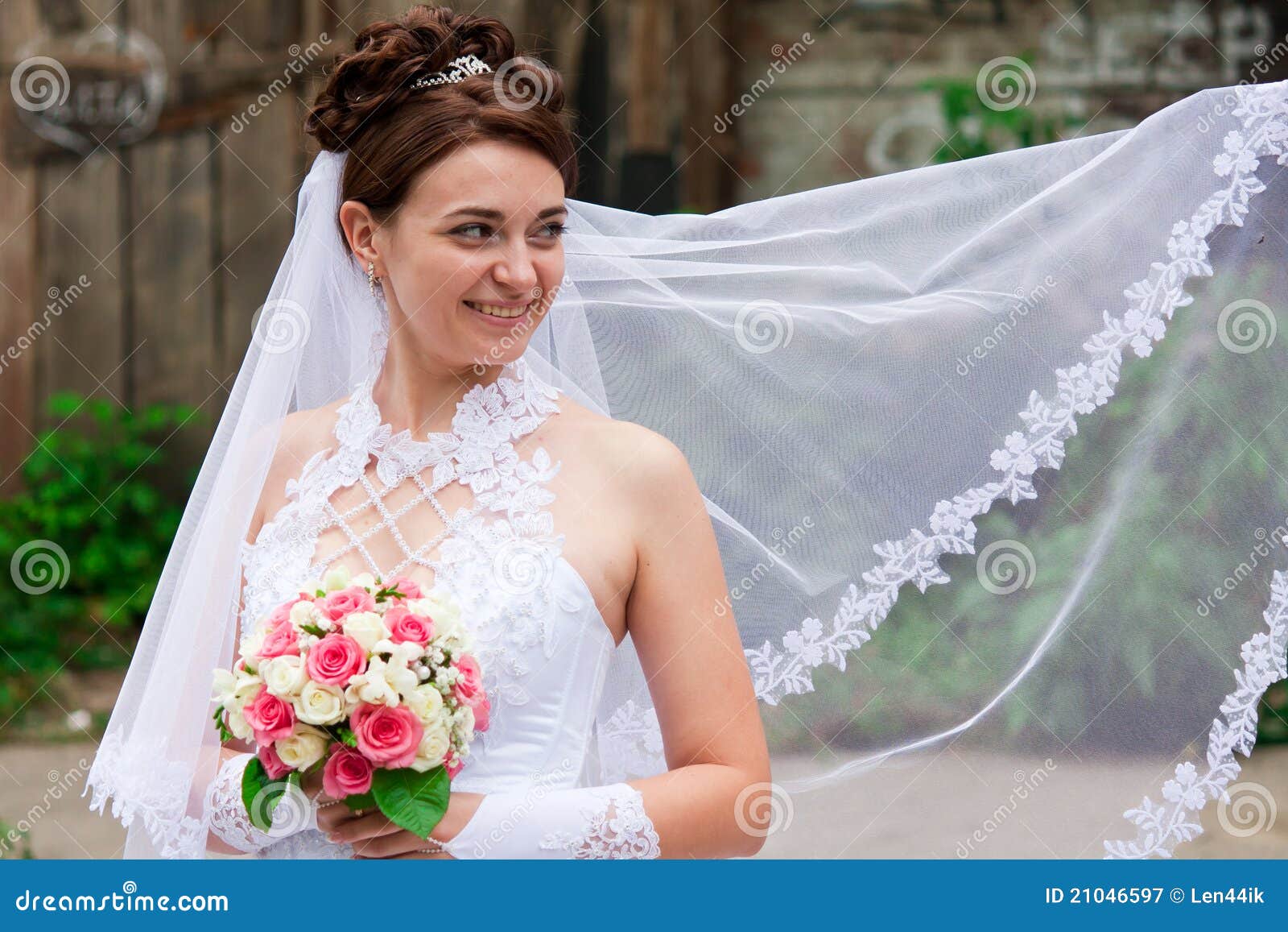 Portrait of a Beautiful Bride Stock Image - Image of attractive, dress ...