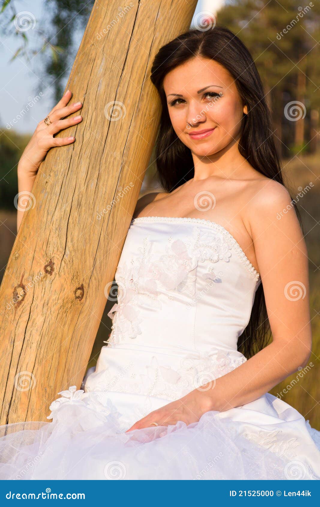 Portrait of a Beautiful Bride Stock Photo - Image of beauty, bride ...