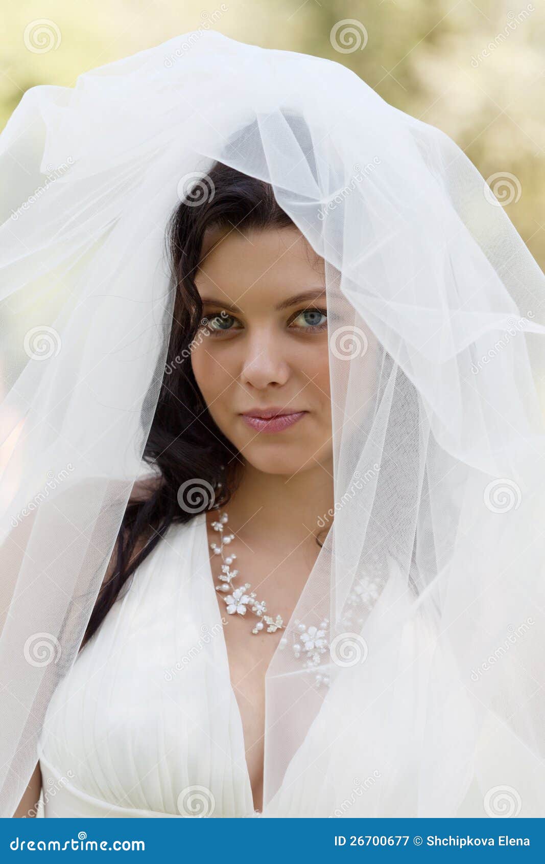 Portrait of the Beautiful Bride Stock Image - Image of looking, dress ...