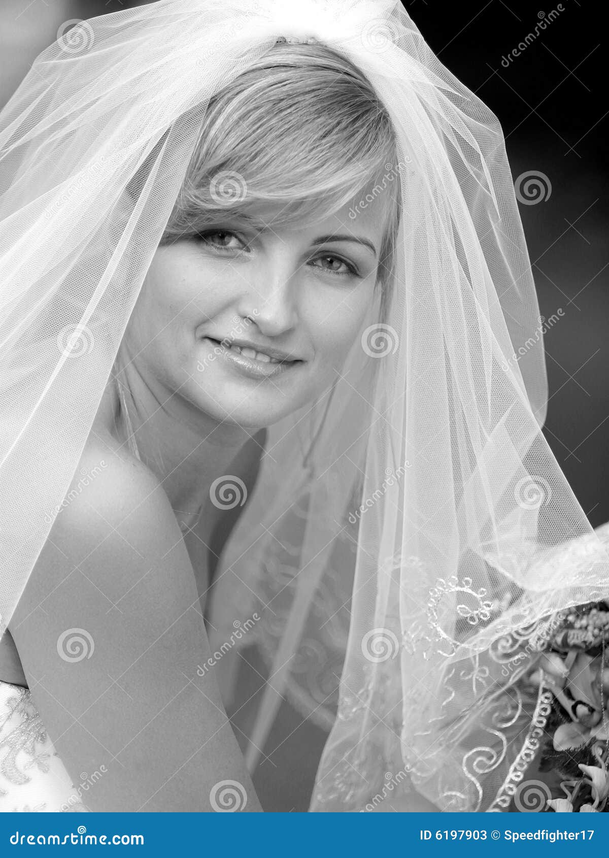 Portrait of Beautiful Bride Stock Image - Image of fashion, marriage ...