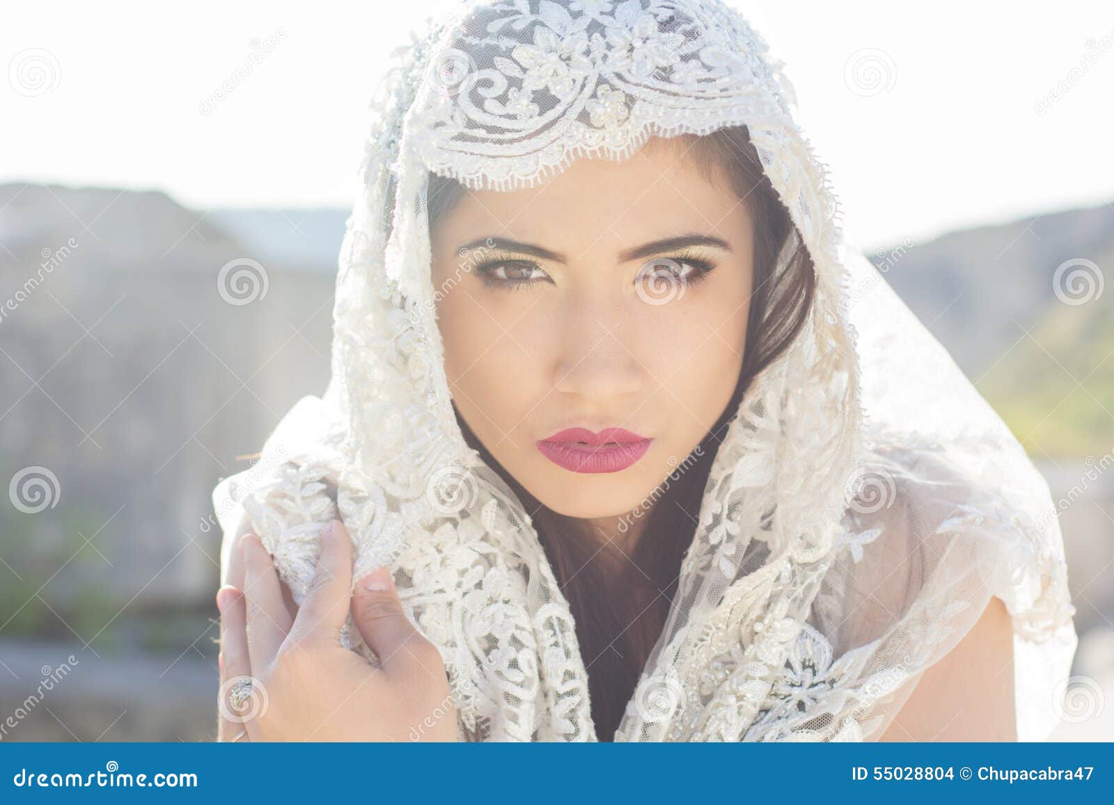 Portrait of a Beautiful Bride Hidden Veil Stock Photo - Image of ...