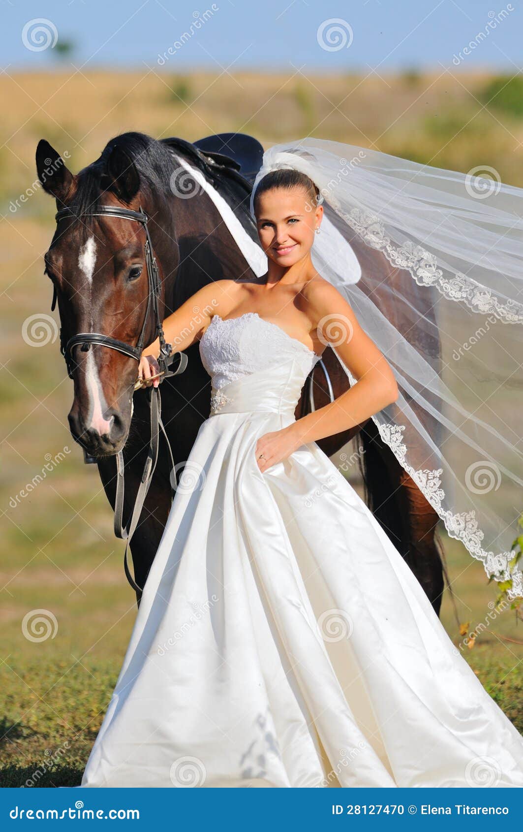 Portrait of Beautiful Bride with Horse Stock Photo - Image of elegance ...