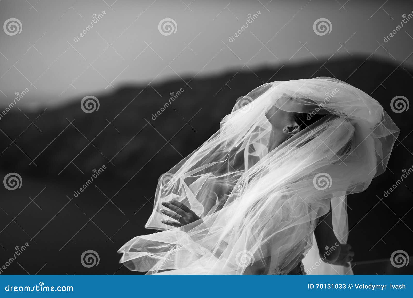 Portrait of Beautiful Bride in Veil B&w Stock Image - Image of neck ...
