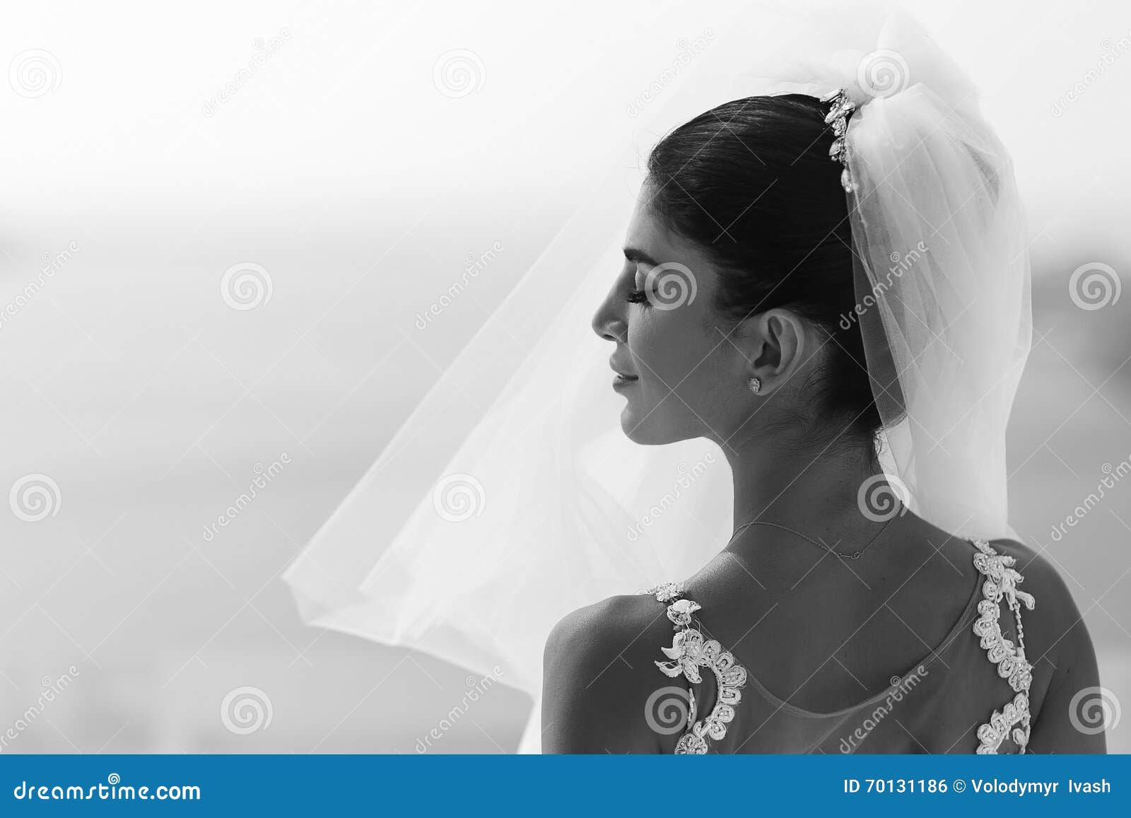 Portrait of Beautiful Bride in Veil B&w Stock Photo - Image of light ...