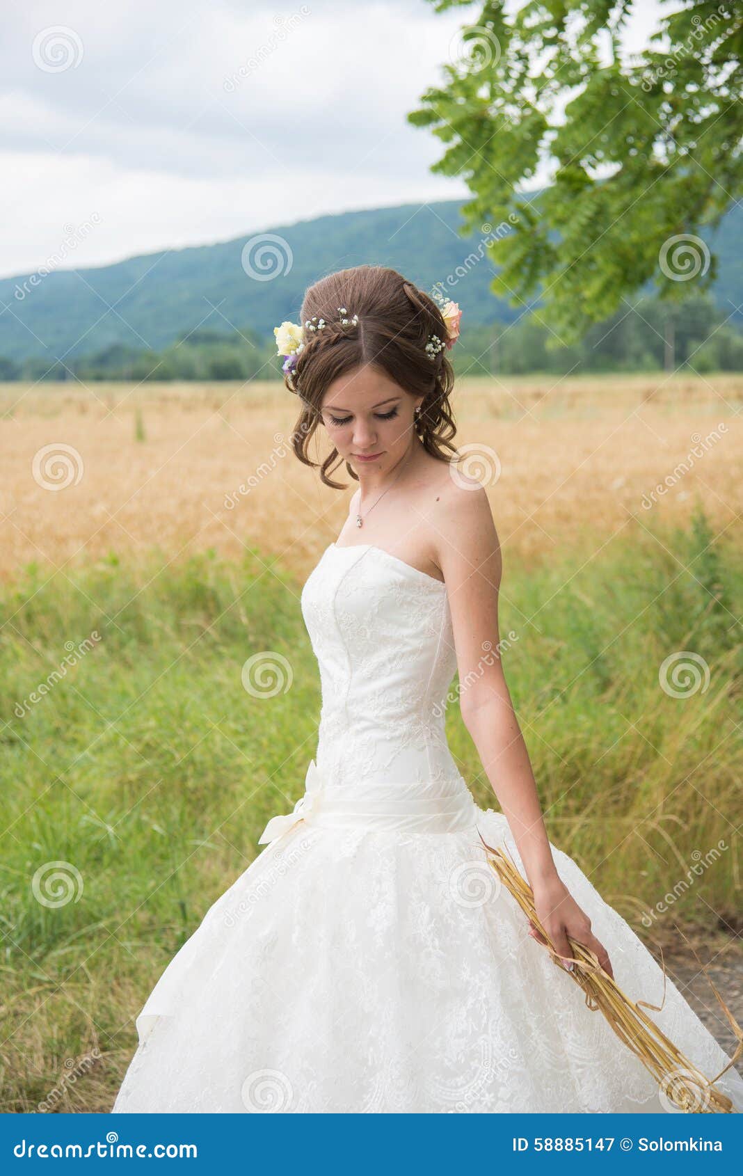 Portrait of the Beautiful Bride on Walk Stock Image - Image of pose ...