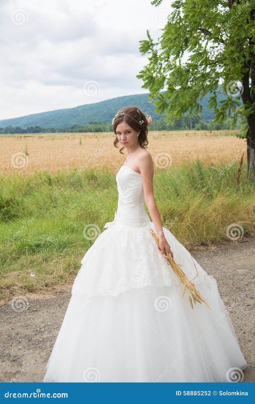Portrait of the Beautiful Bride on Walk Stock Photo - Image of glamour ...
