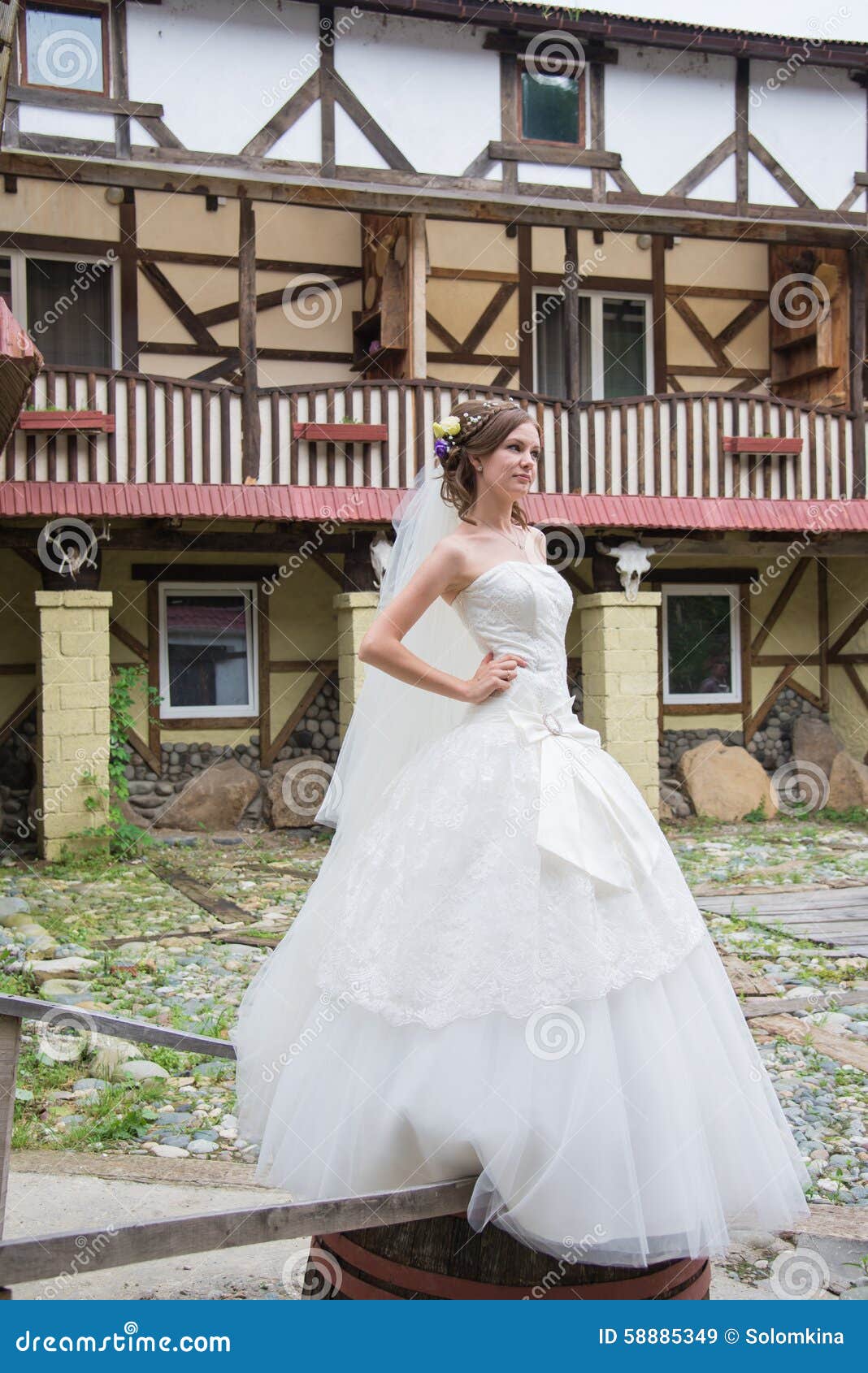 Portrait of the Beautiful Bride on Walk Stock Image - Image of hand ...