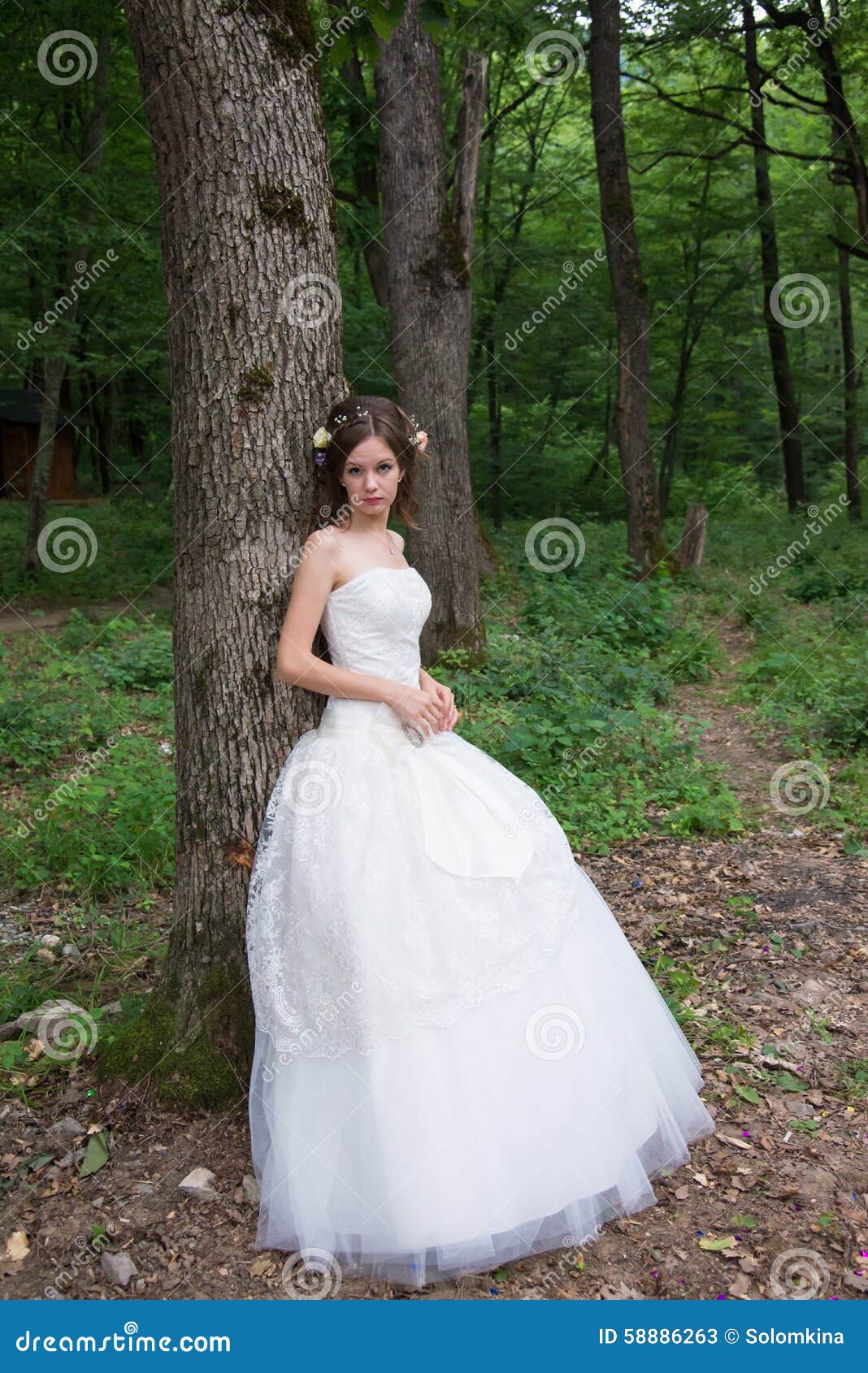 Portrait of the Beautiful Bride on Walk Stock Image - Image of nature ...