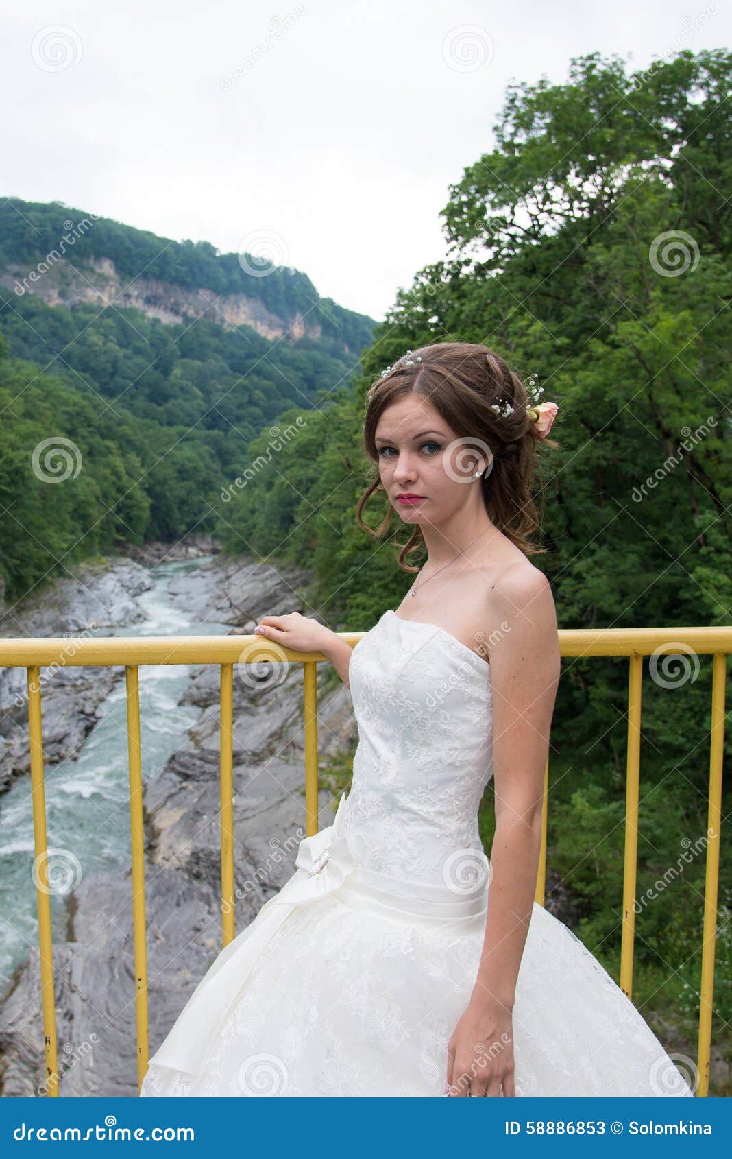 Portrait of the Beautiful Bride on Walk Stock Image - Image of ...