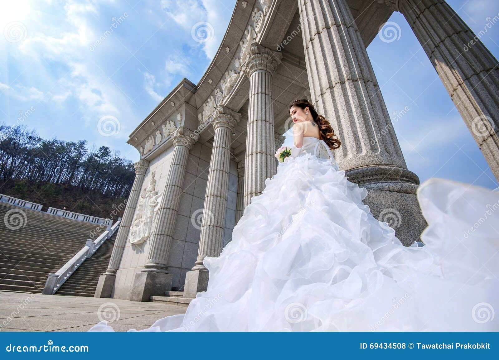 Portrait of the Beautiful Bride Wedding. Stock Photo - Image of female ...