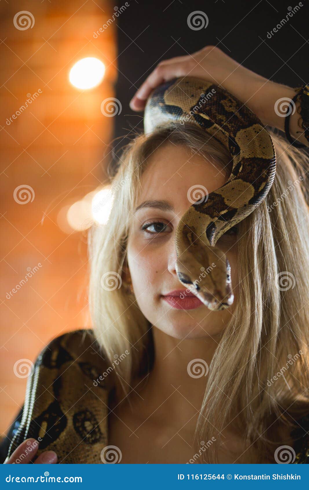 Portrait of Beautiful Caucasian Woman with a Python on Her Face Stock ... Portrait of Beautiful Caucasian Woman with a Python on Her Face Stock ...