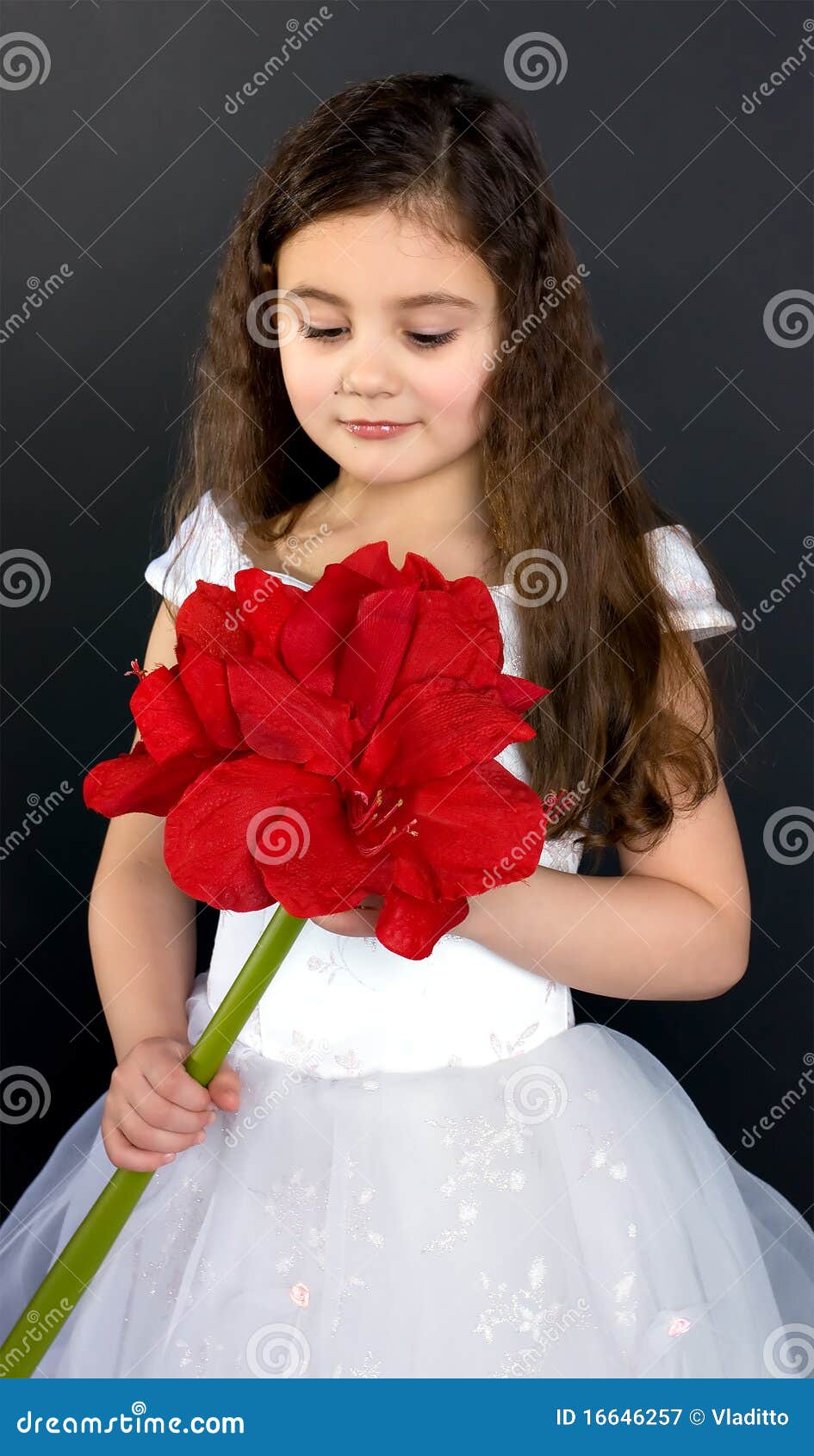 Portrait of a Beautiful Child Girl Stock Image - Image of fascinated ...