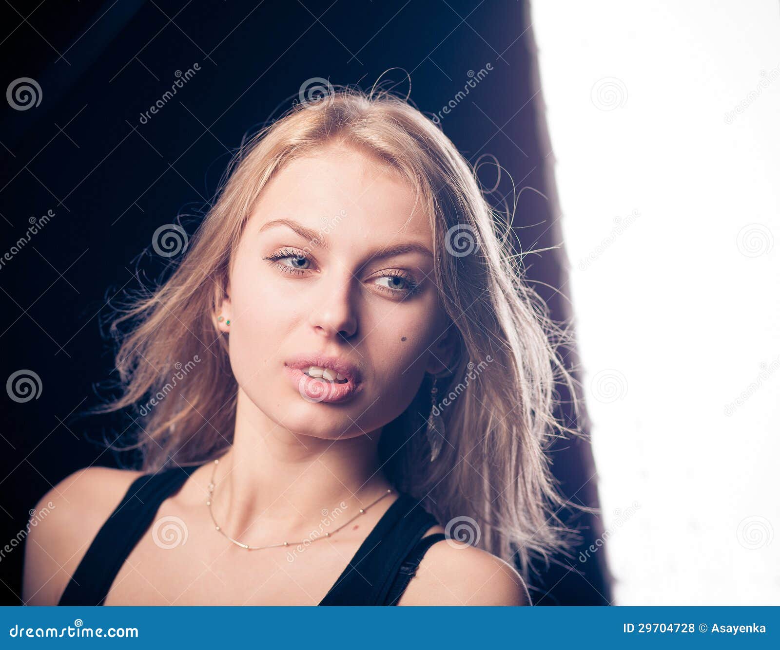 Beautiful delicate girl stock photo. Image of adult, hairstyle - 29704728