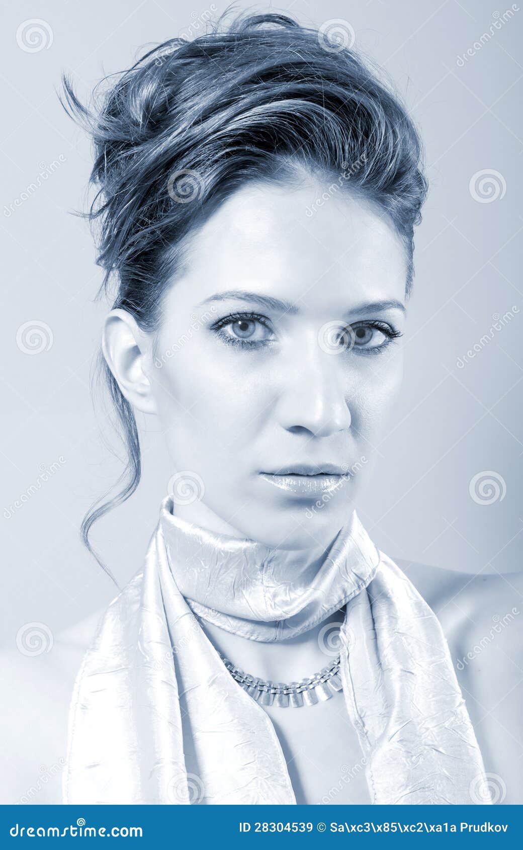 Portrait of the Beautiful Elegant Lady Stock Image - Image of female ...