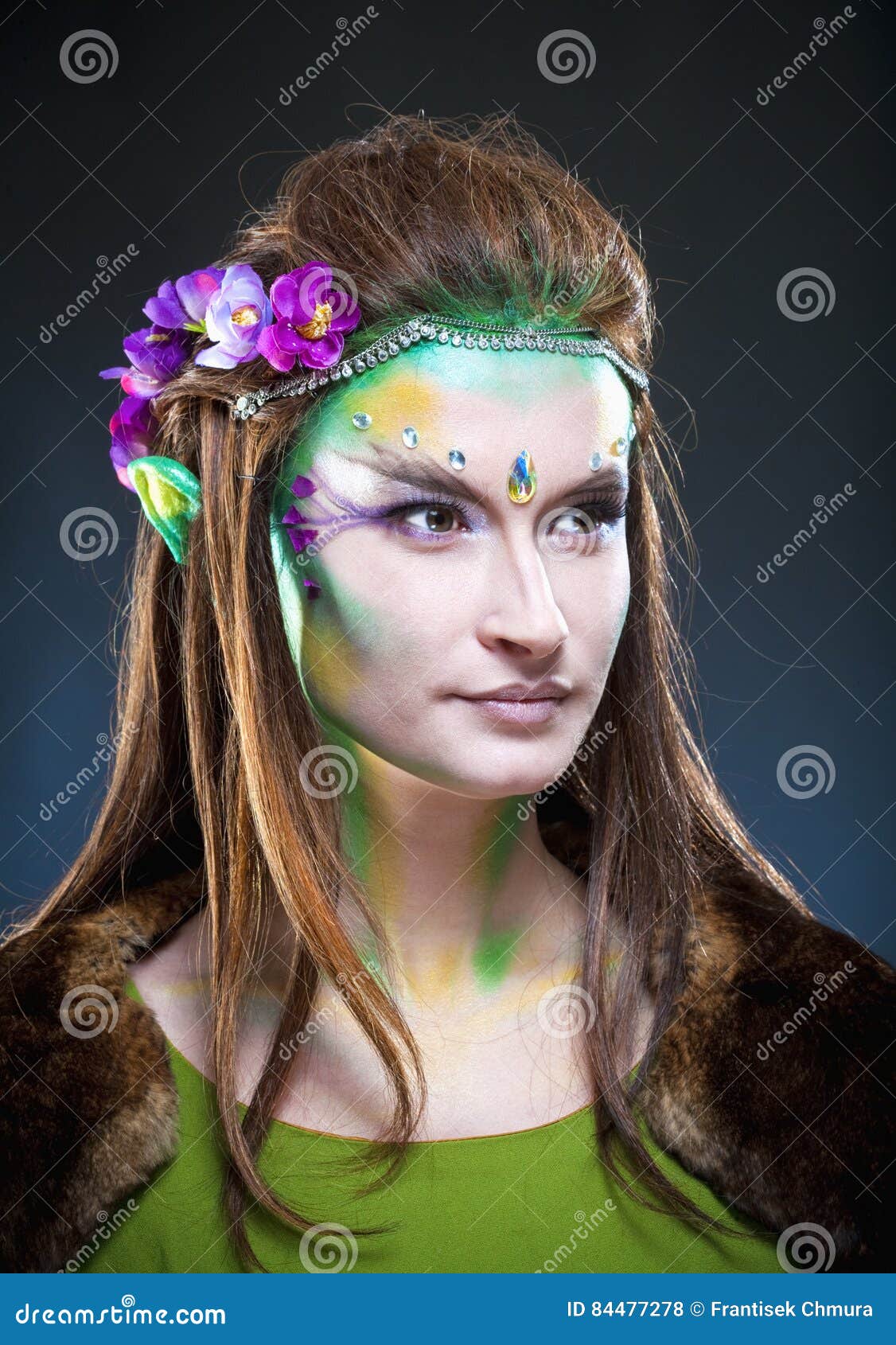Portrait of a Beautiful Elf. Stock Photo - Image of female, good: 84477278
