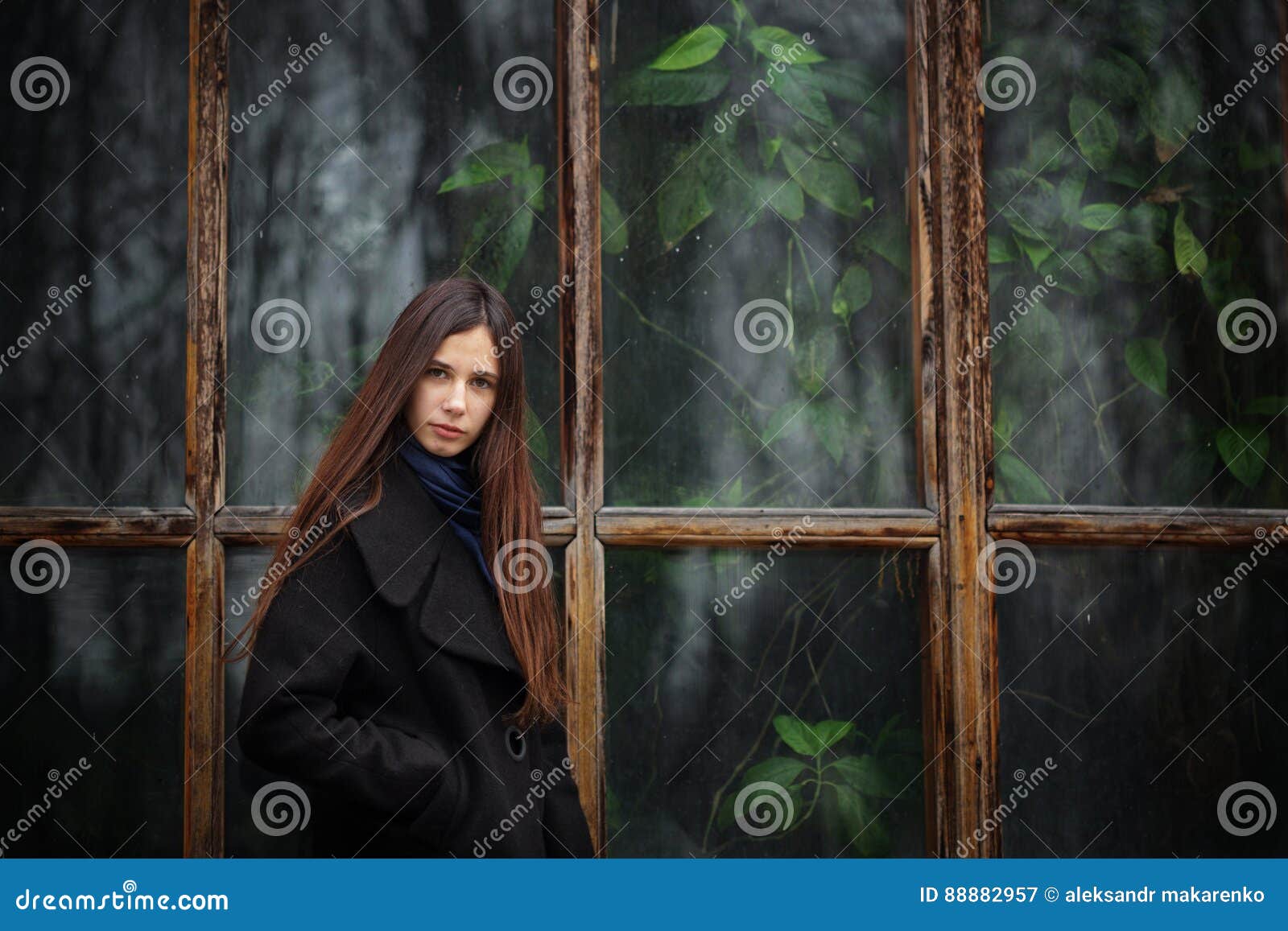 Portrait of a Beautiful Girl on the Background of a Large Window Stock ...