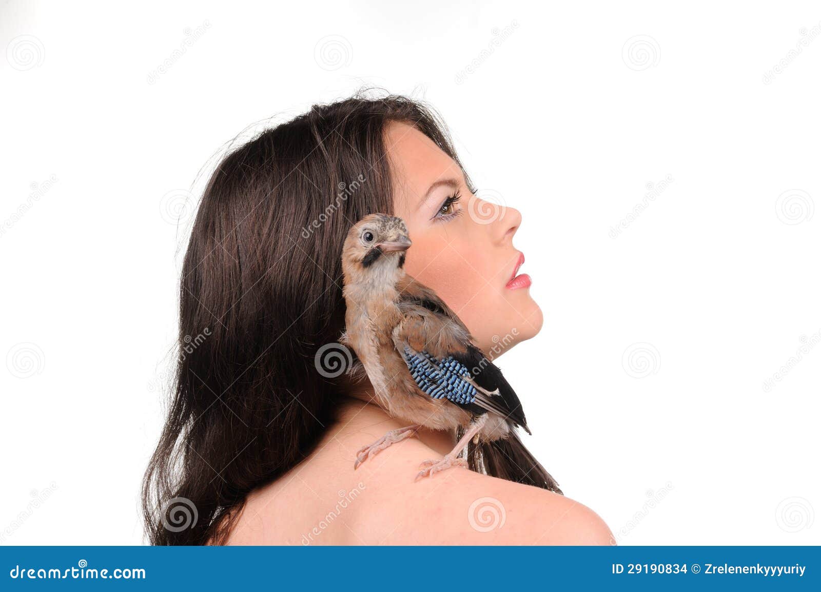 Portrait of Beautiful Girl with Bird Stock Photo - Image of portrait ...