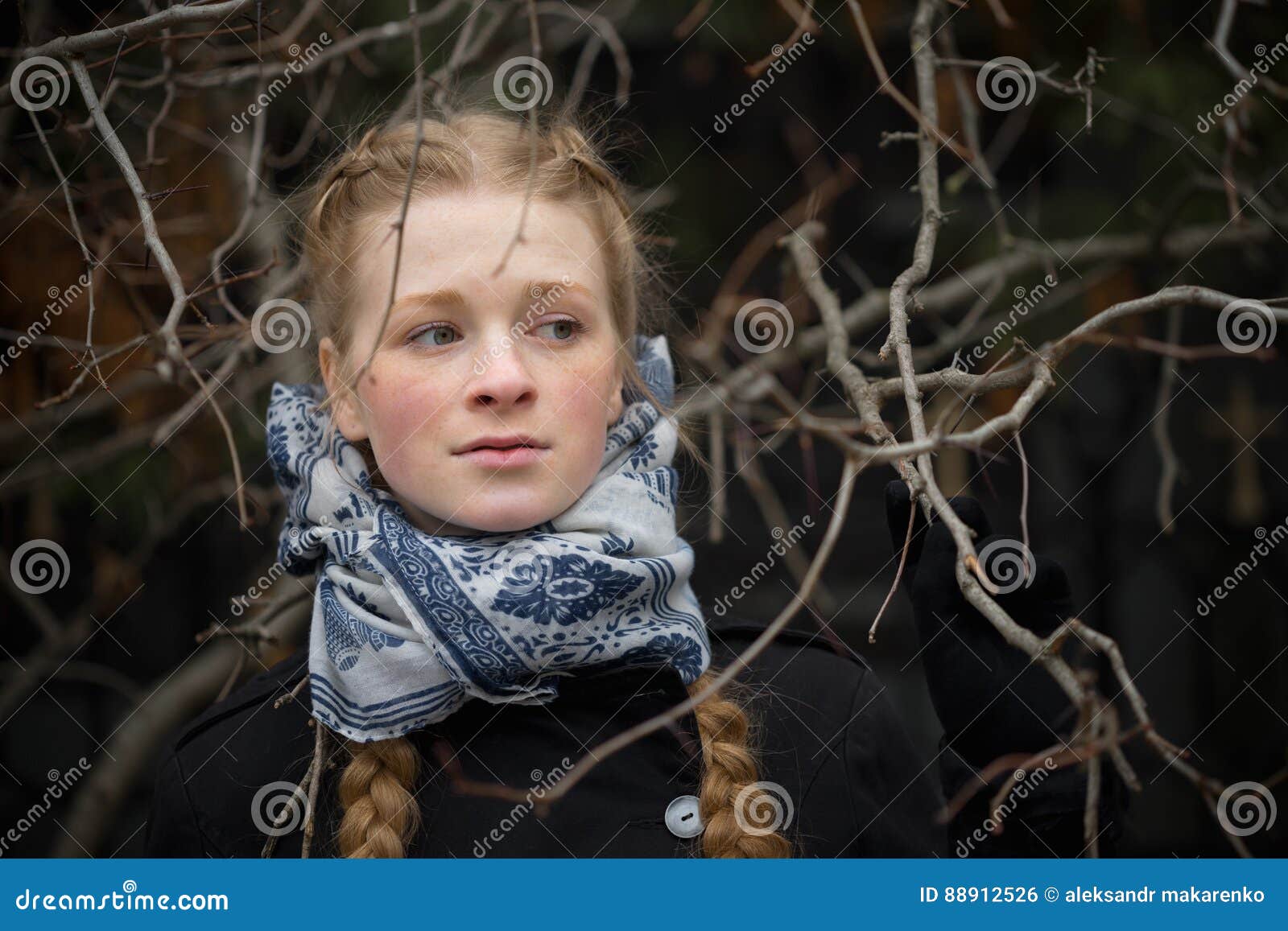 Portrait of a Beautiful Girl in the Bush Outdoors Stock Photo - Image ...