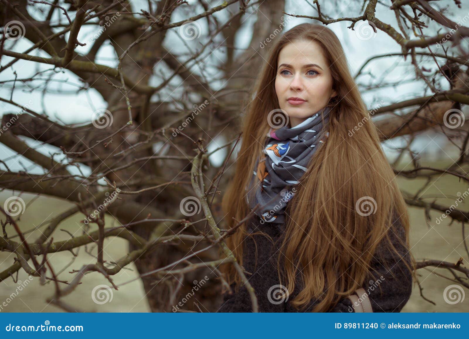 Portrait of a Beautiful Girl in the Bush Outdoors Stock Photo - Image ...