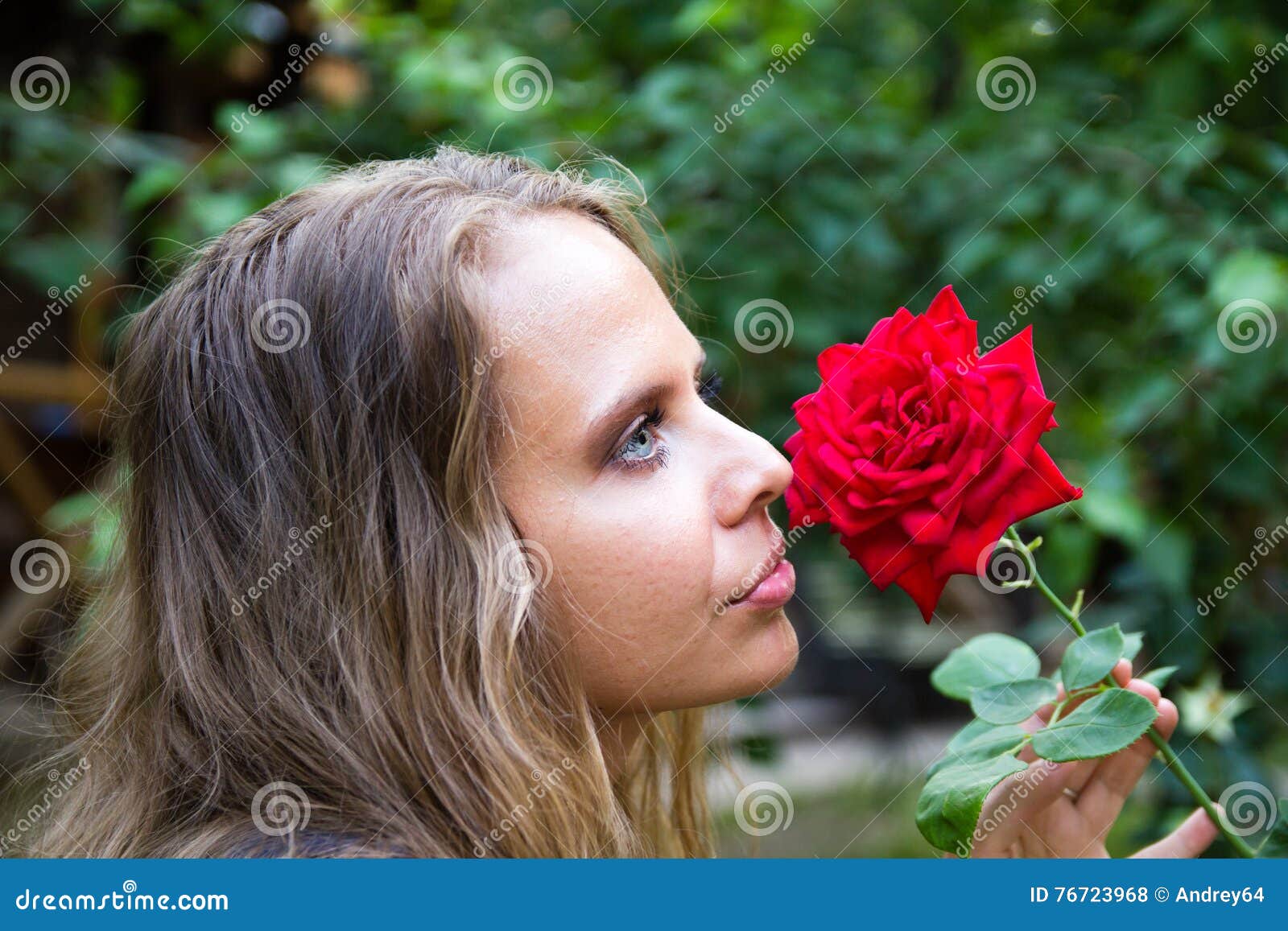 Portrait of a Beautiful Girl with a Red Rose Stock Photo - Image of ...