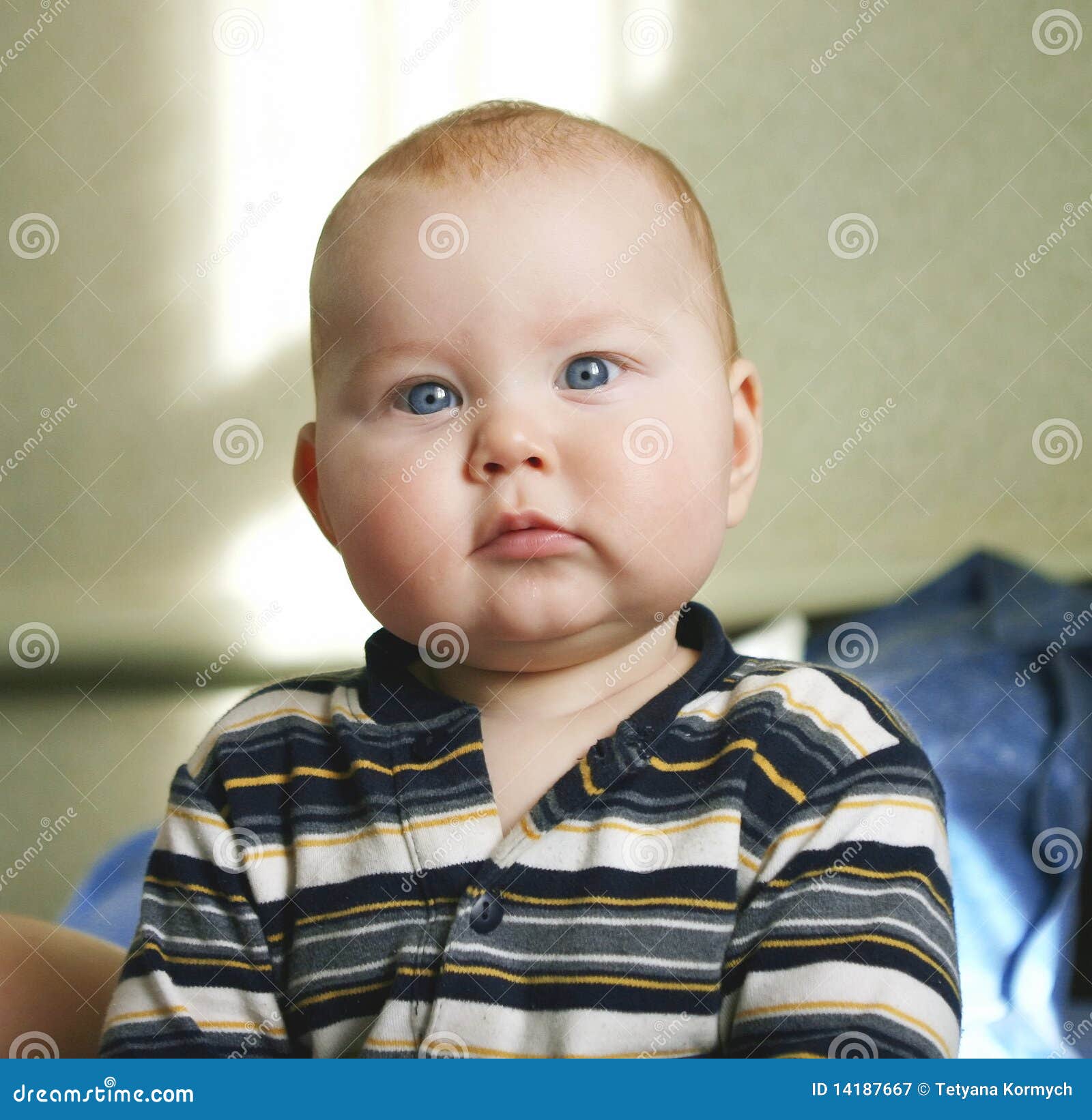 Portrait of Beautiful Little Boy Stock Image - Image of childhood ...