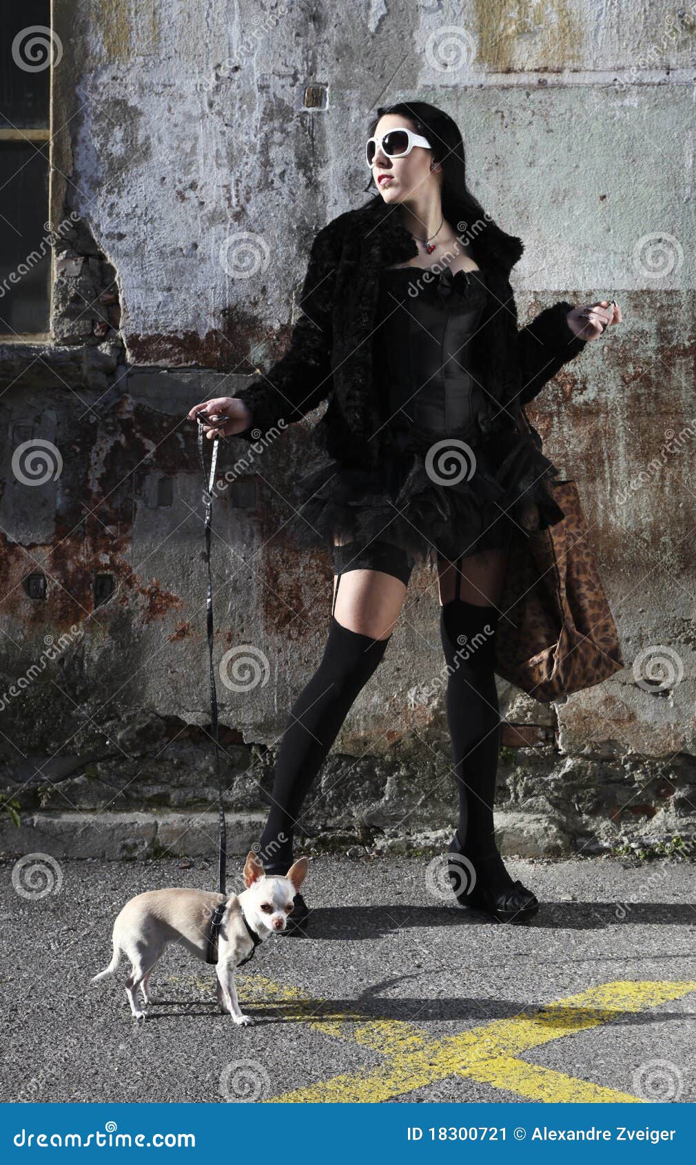Portrait of a Beautiful Model with Dog Stock Image - Image of dress ...