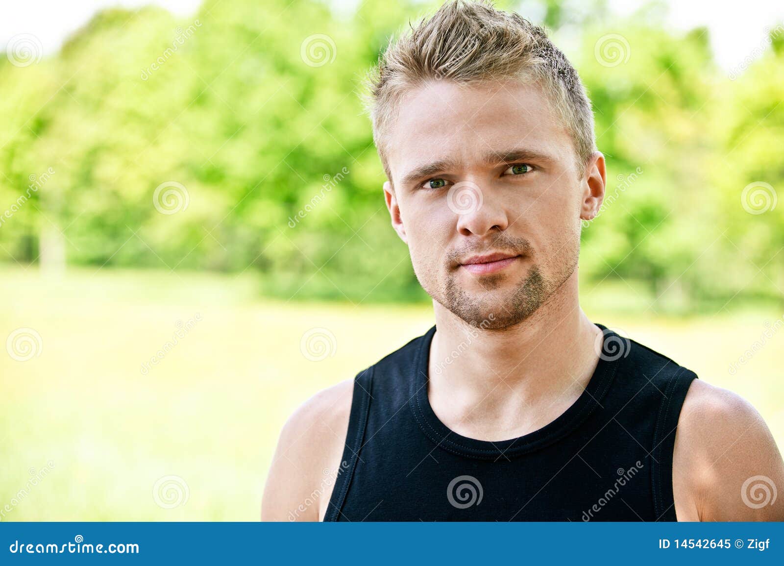 Portrait of Beautiful Young Man Stock Image - Image of human, confident ...