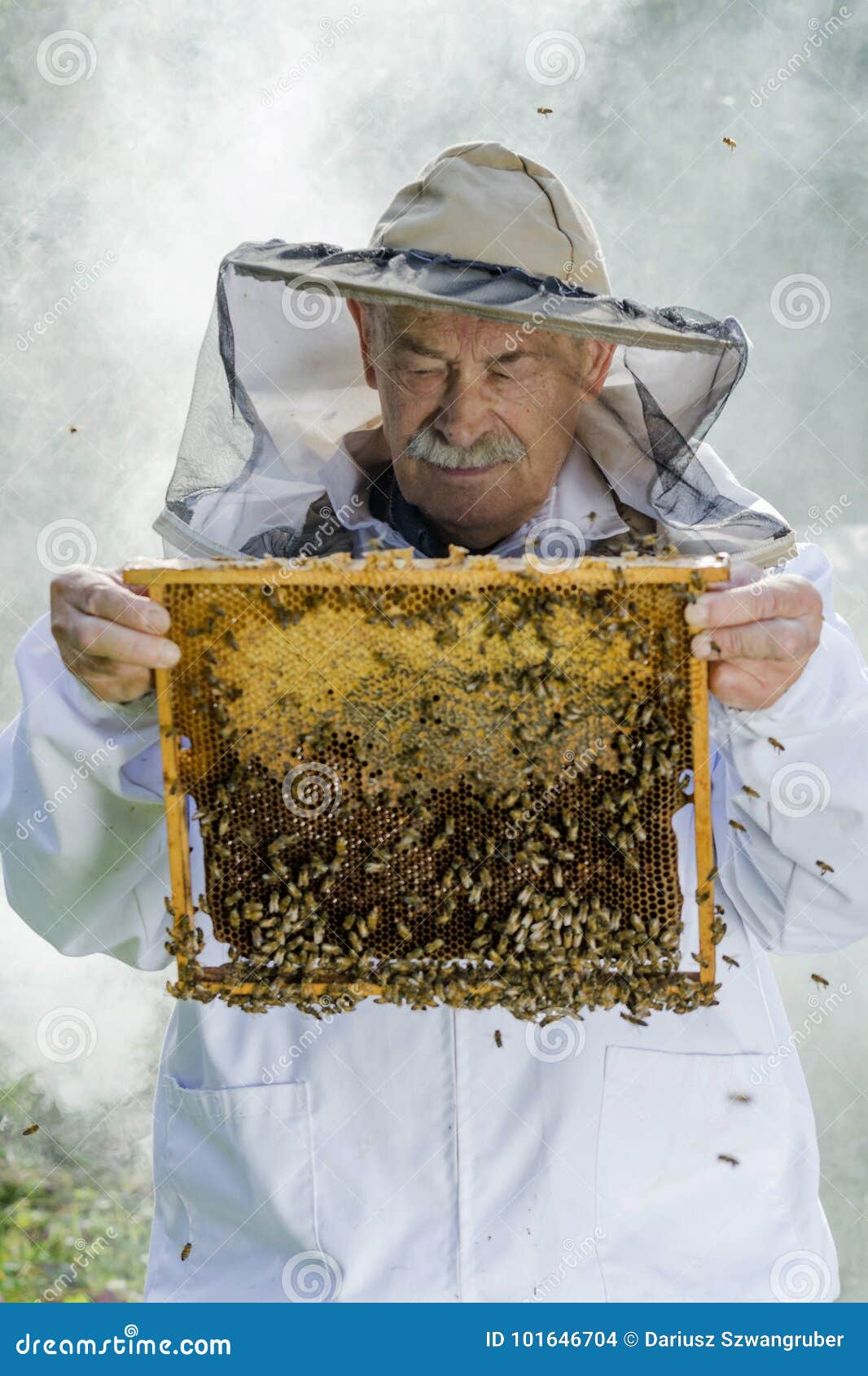 Portrait of Beekeeper with Honeycomb Stock Photo - Image of hardworking ...