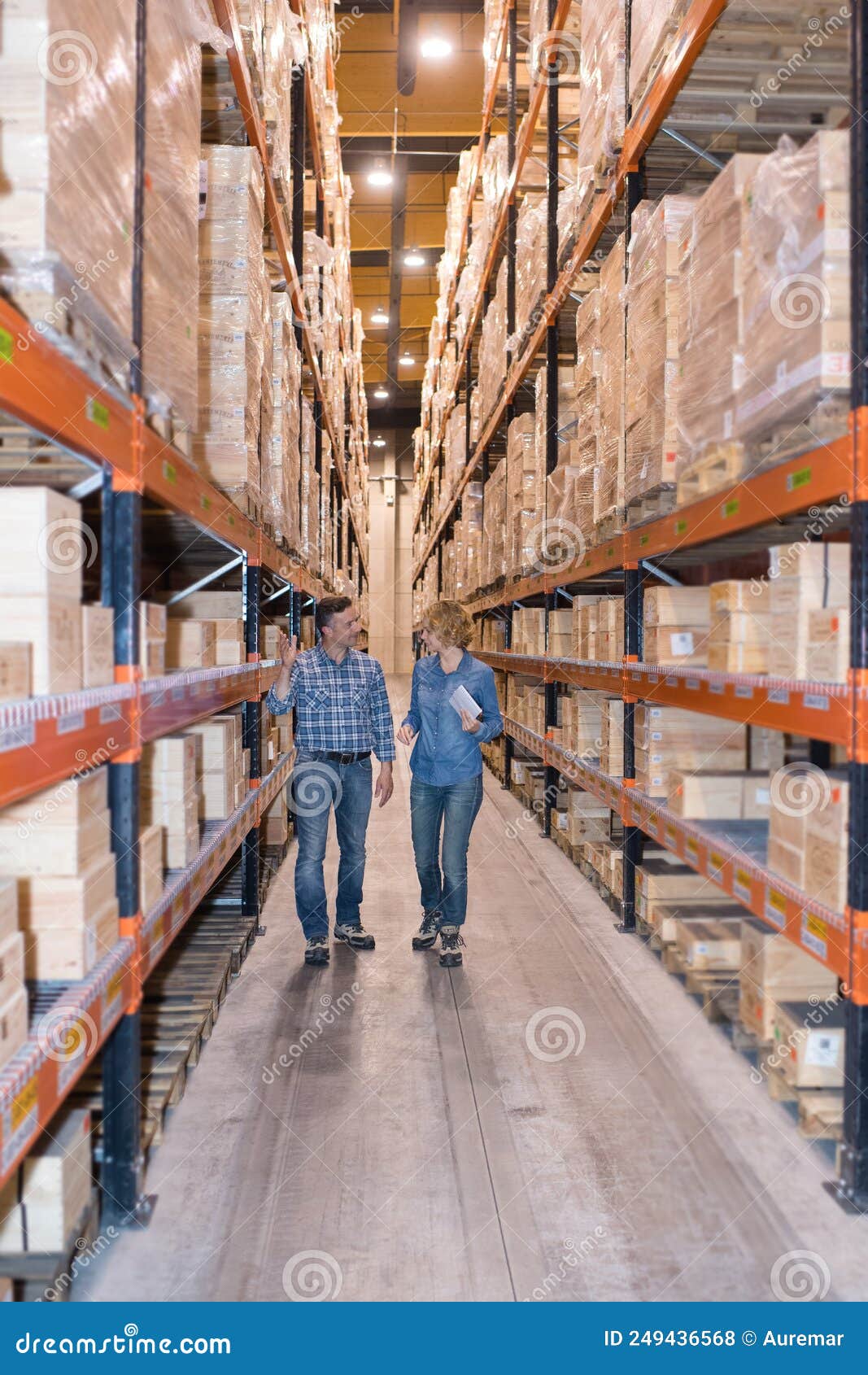 Portrait warehouse stock photo. Image of material, segregate - 249436568