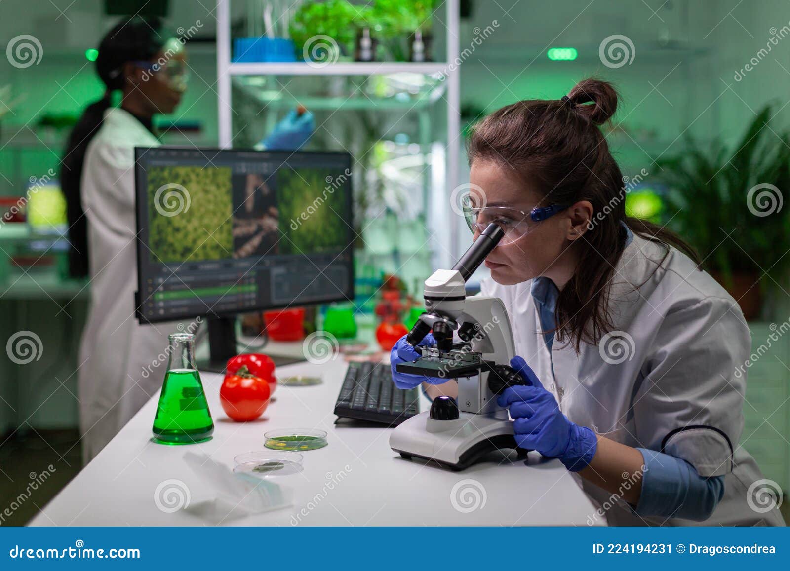 Portrait of Biologist Scientist in White Coat Working in Expertise ...
