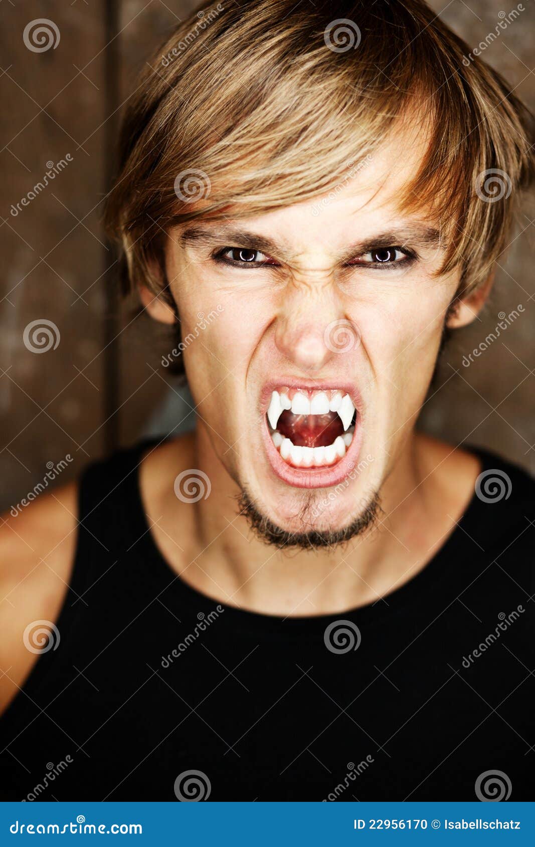 Portrait of a Blond Vampire Stock Photo - Image of hissing, carnival ...