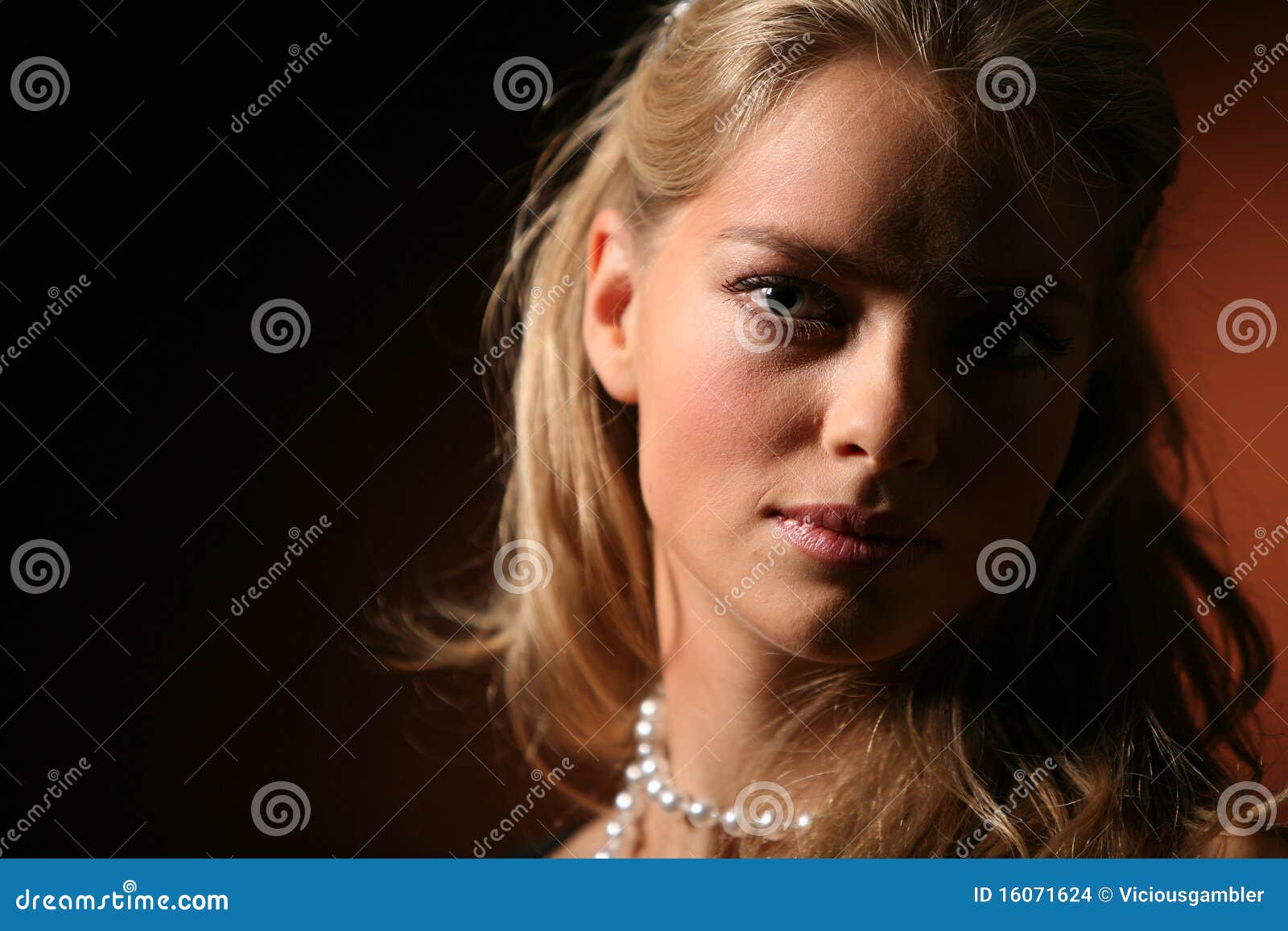 Portrait of a Blonde Lady in Dark Colours Stock Photo - Image of female ...