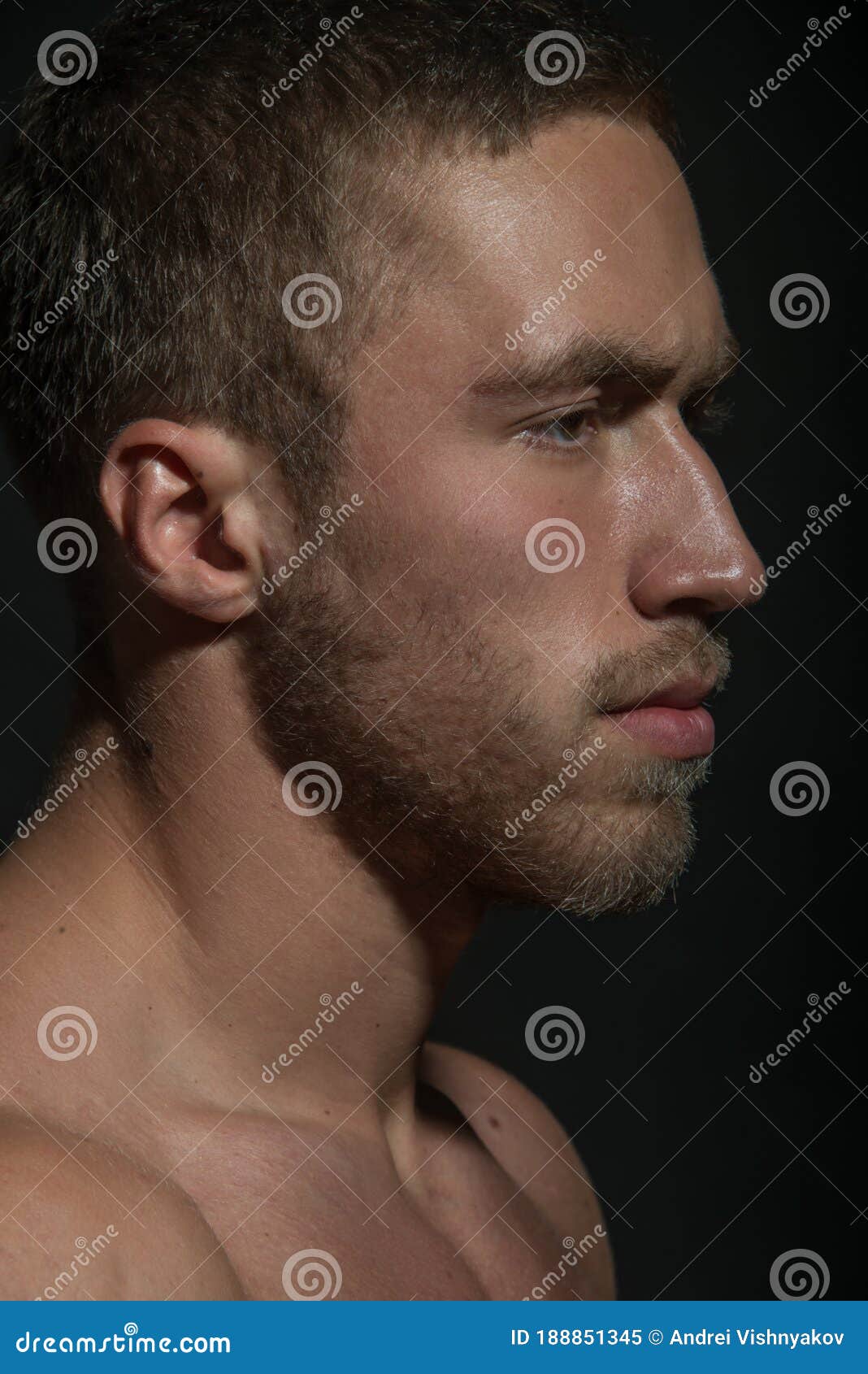 Portrait of bodybuilder stock image. Image of attractive - 188851345