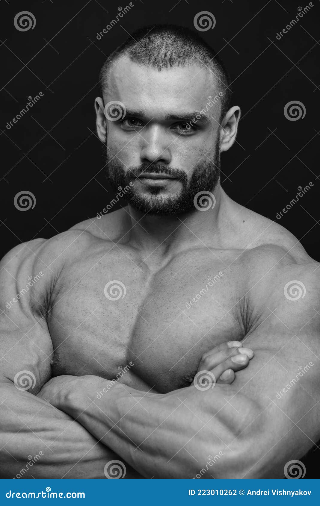 Portrait of bodybuilder stock photo. Image of bodybuilder - 223010262