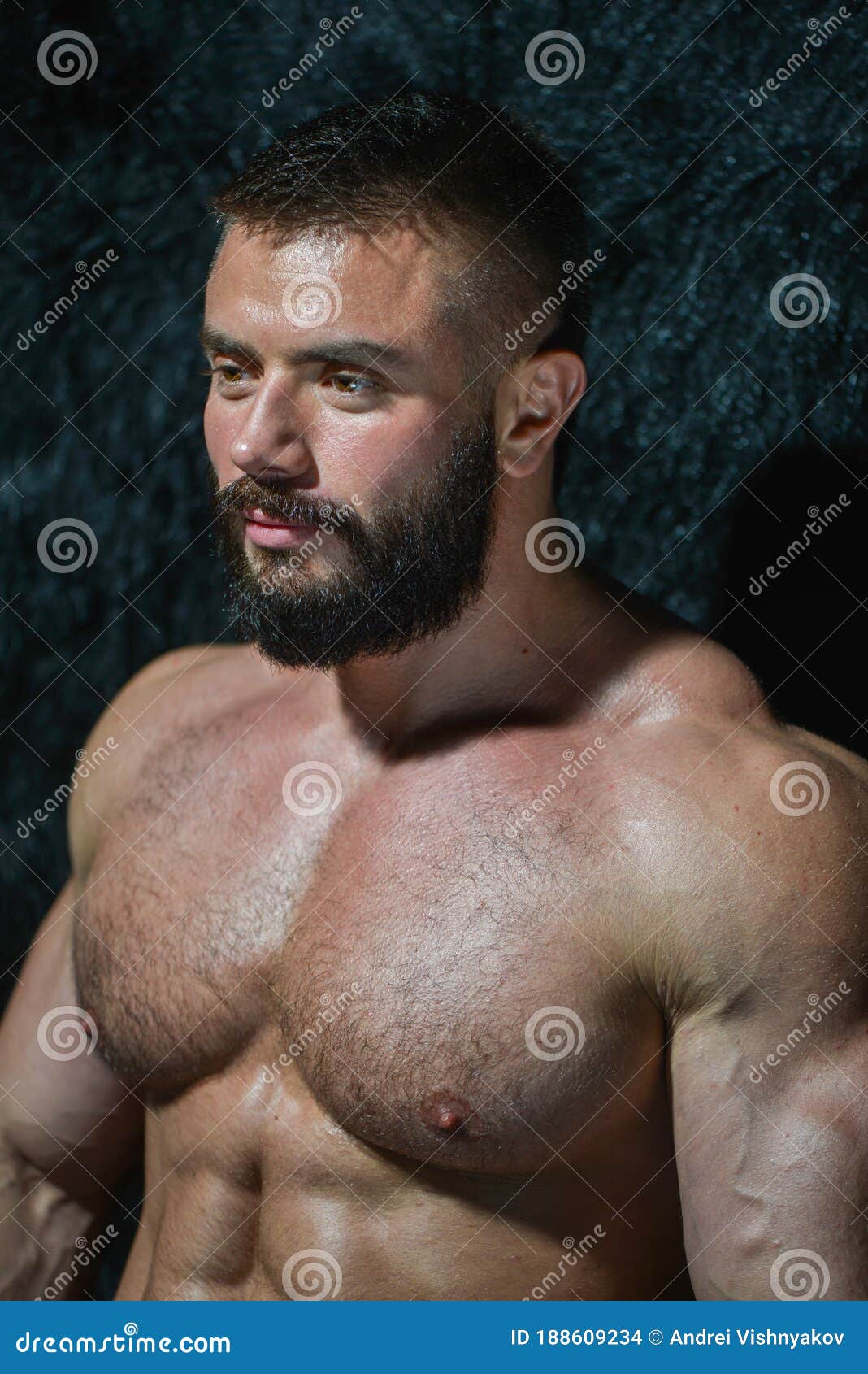 Portrait of bodybuilder stock photo. Image of white - 188609234